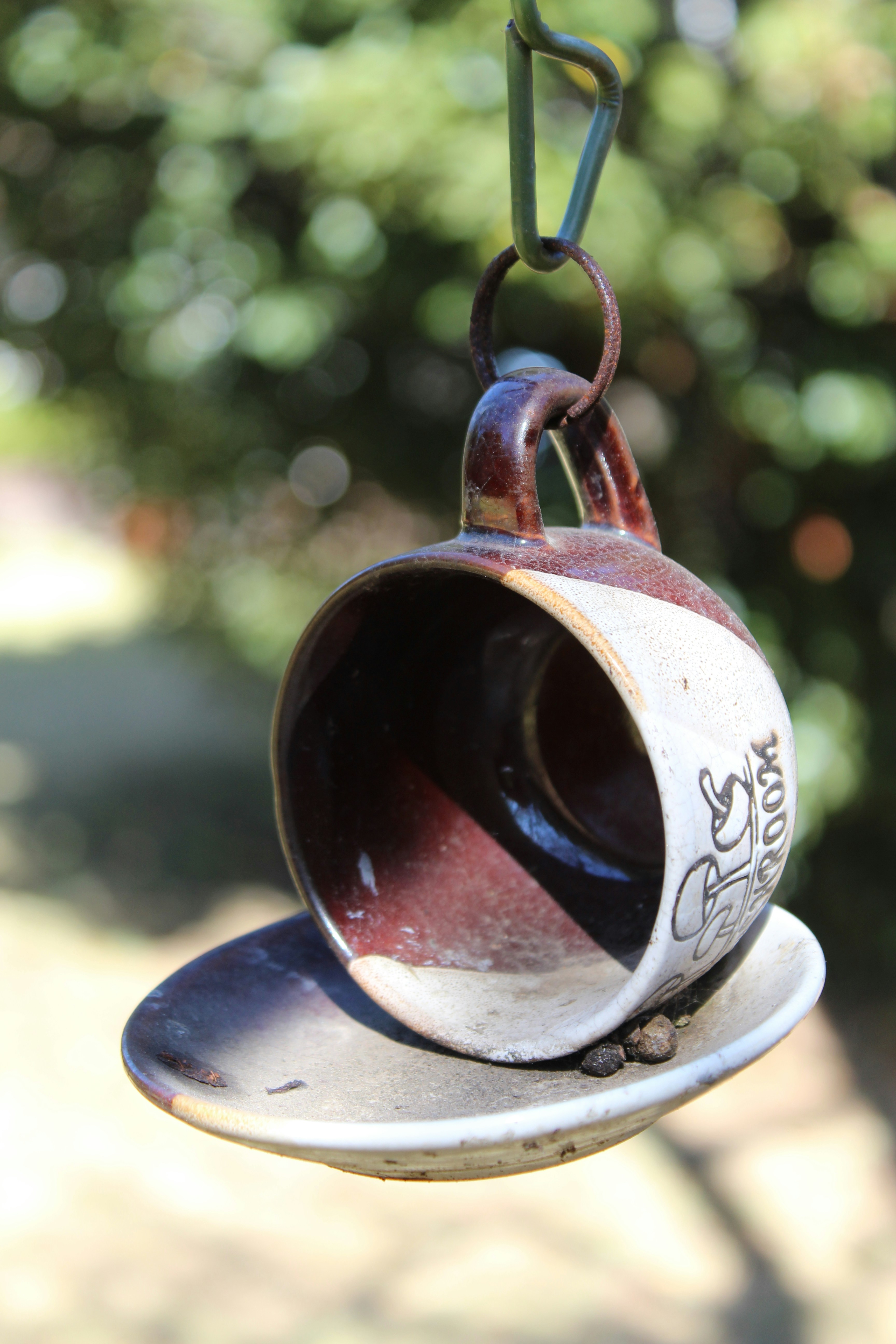 An upside down teacup hanging outdoors. photo – Free Bedfordview Image ...