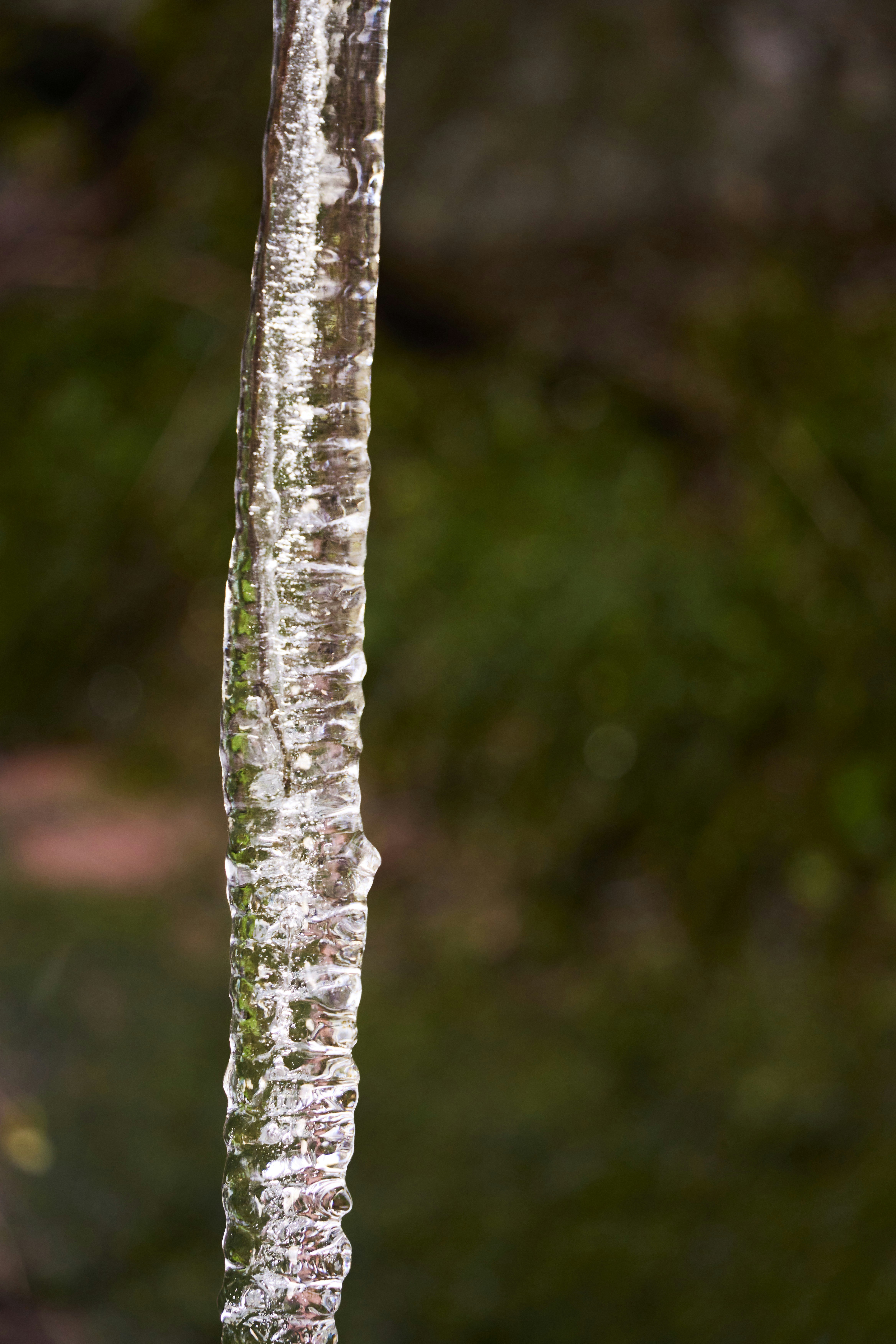 A close up of a tree with ice on it photo – Free Ice Image on Unsplash