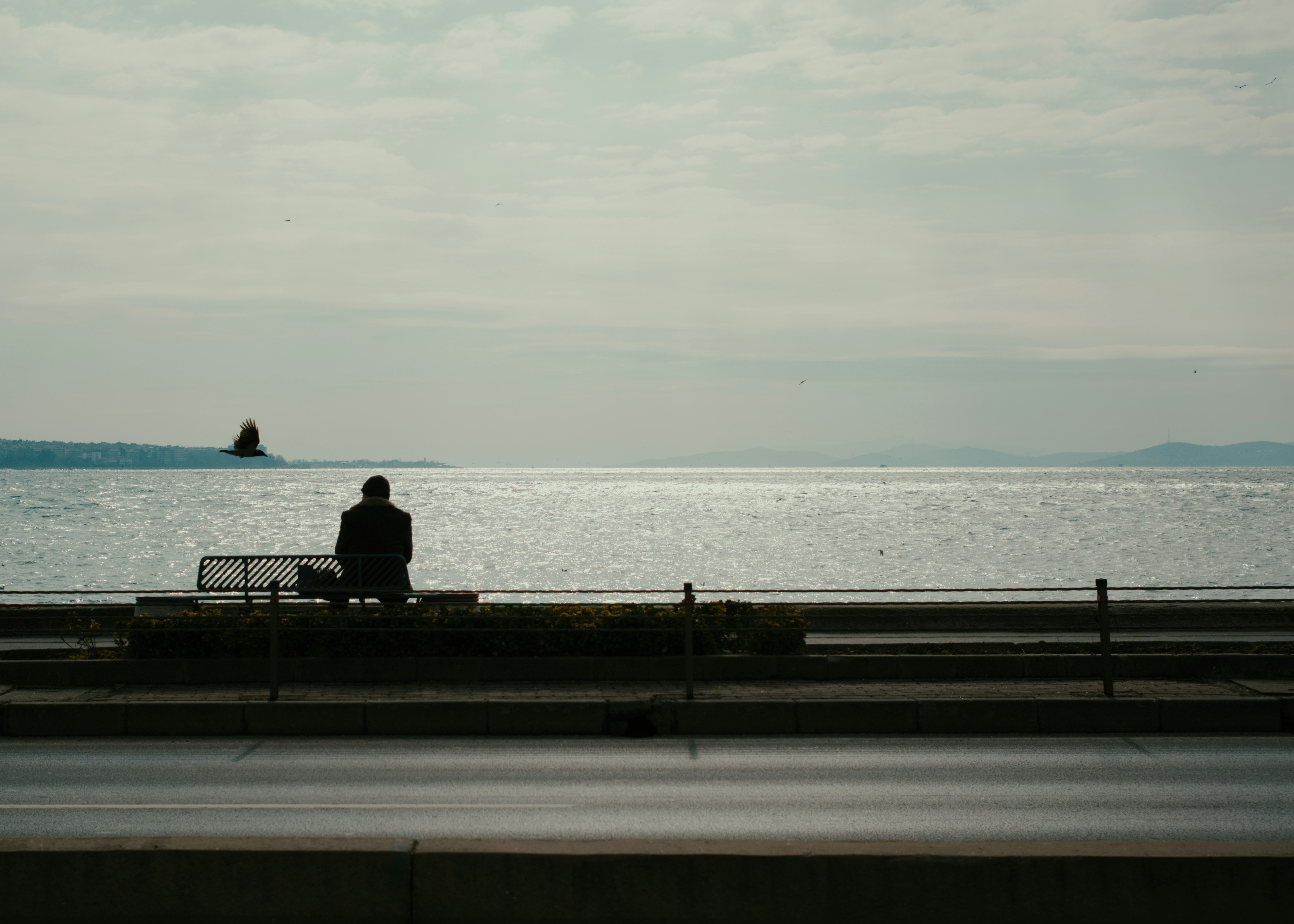 Seated by the Sea: A Quiet Moment Along the Pier