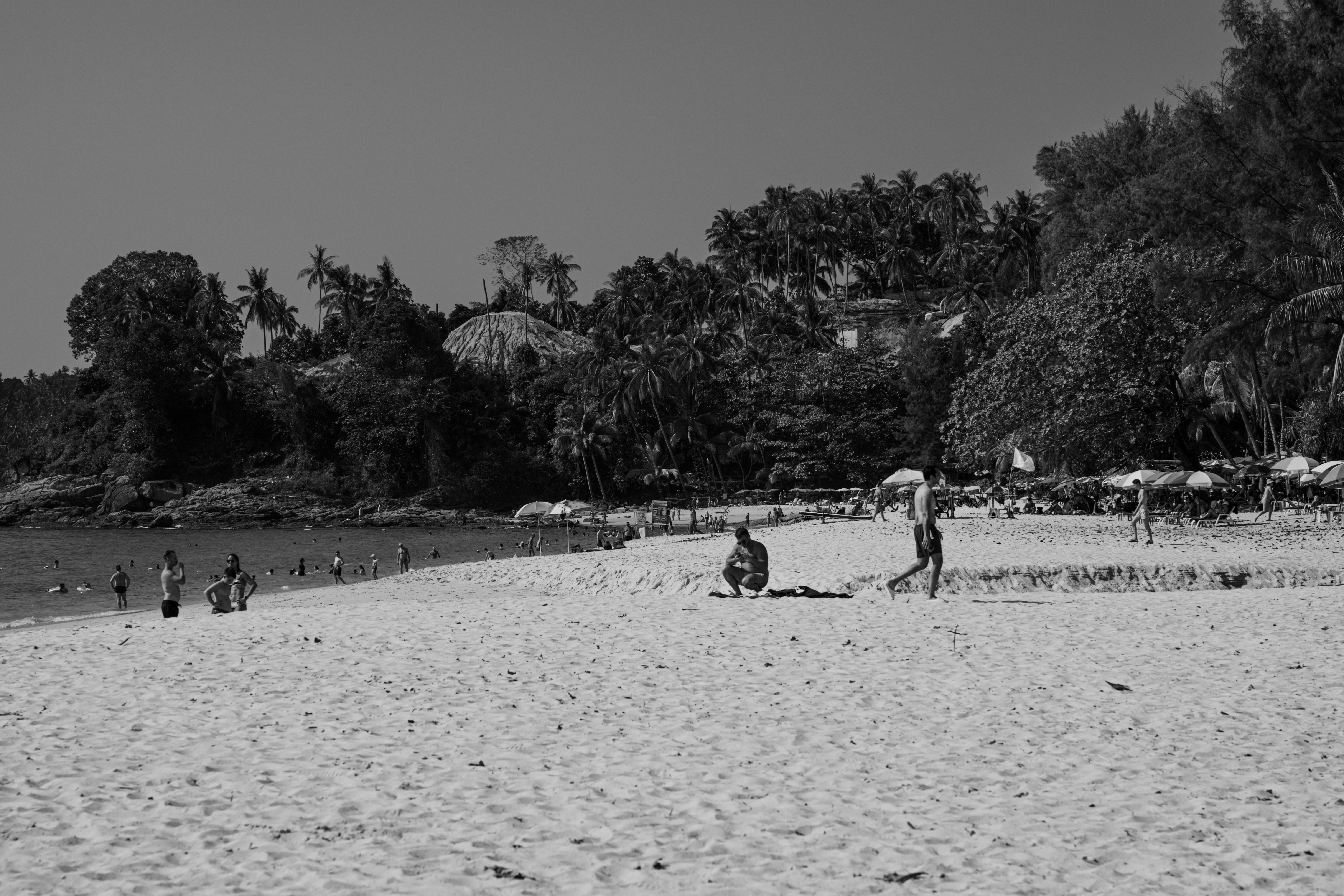 Photo by Sam Szuchan with Sony FX30