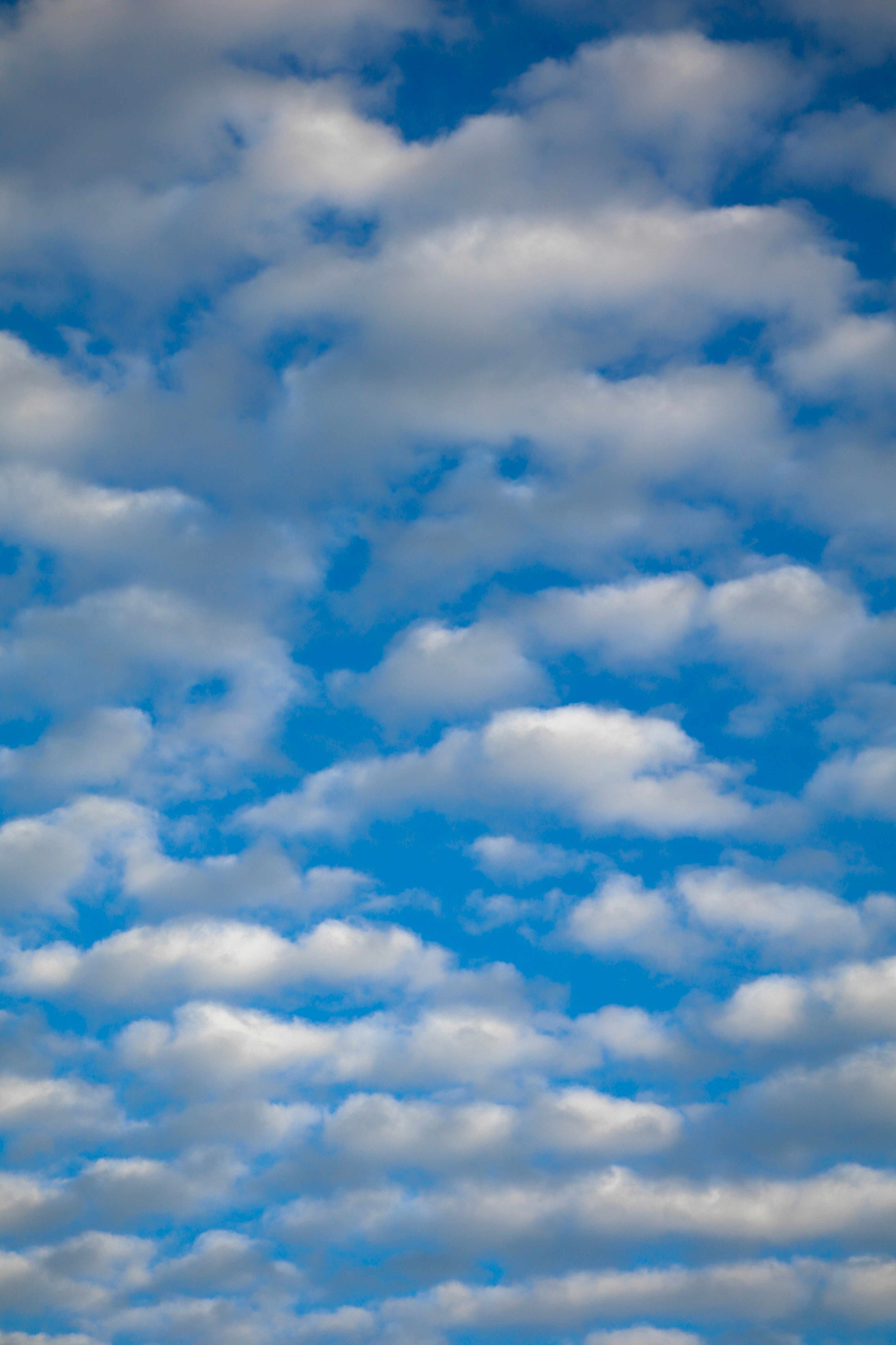 Cotton Cloudlets Across a Cerulean Sky: A Quiet Sky Study