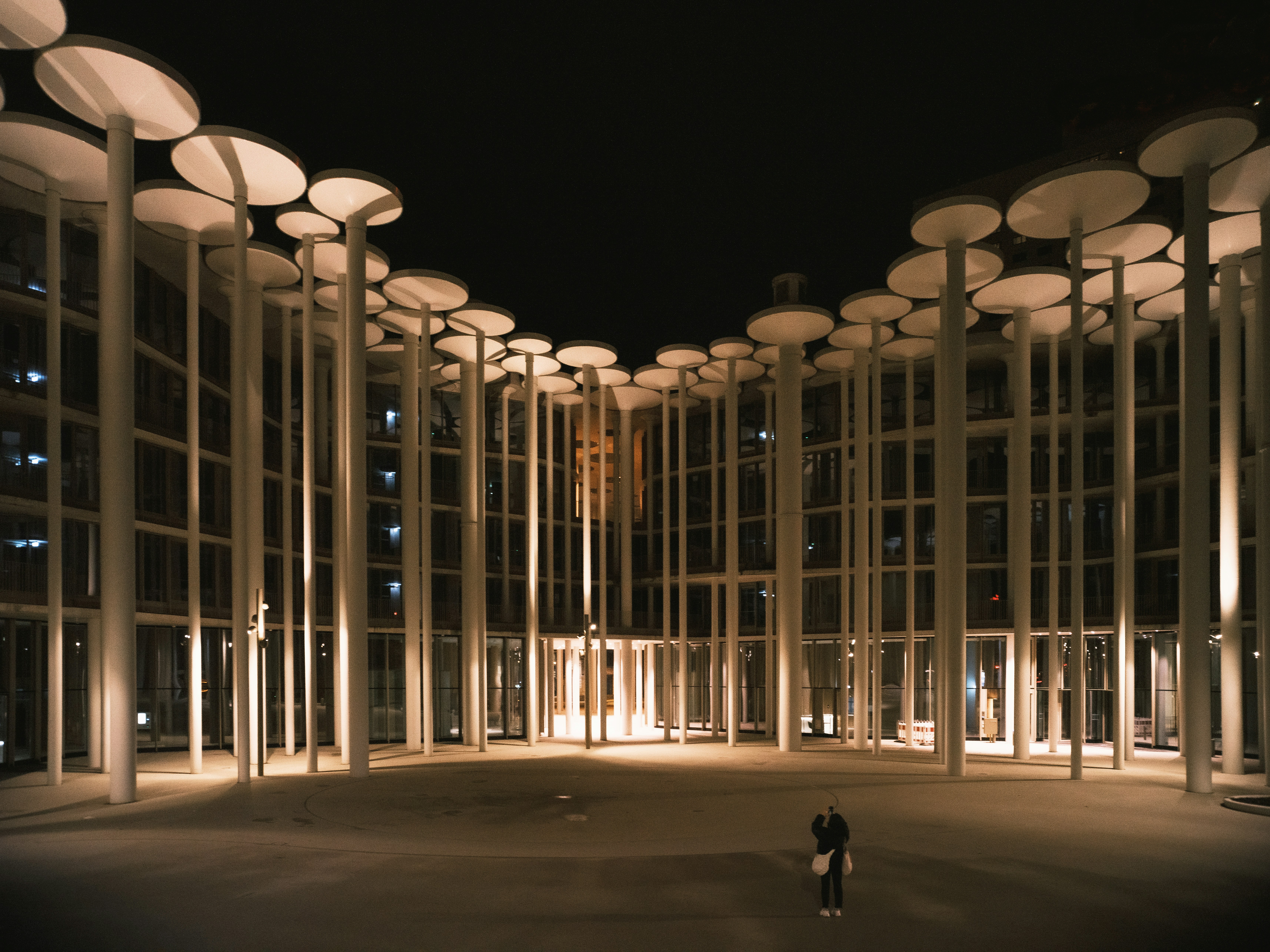 Urban Grove Under Night Lights