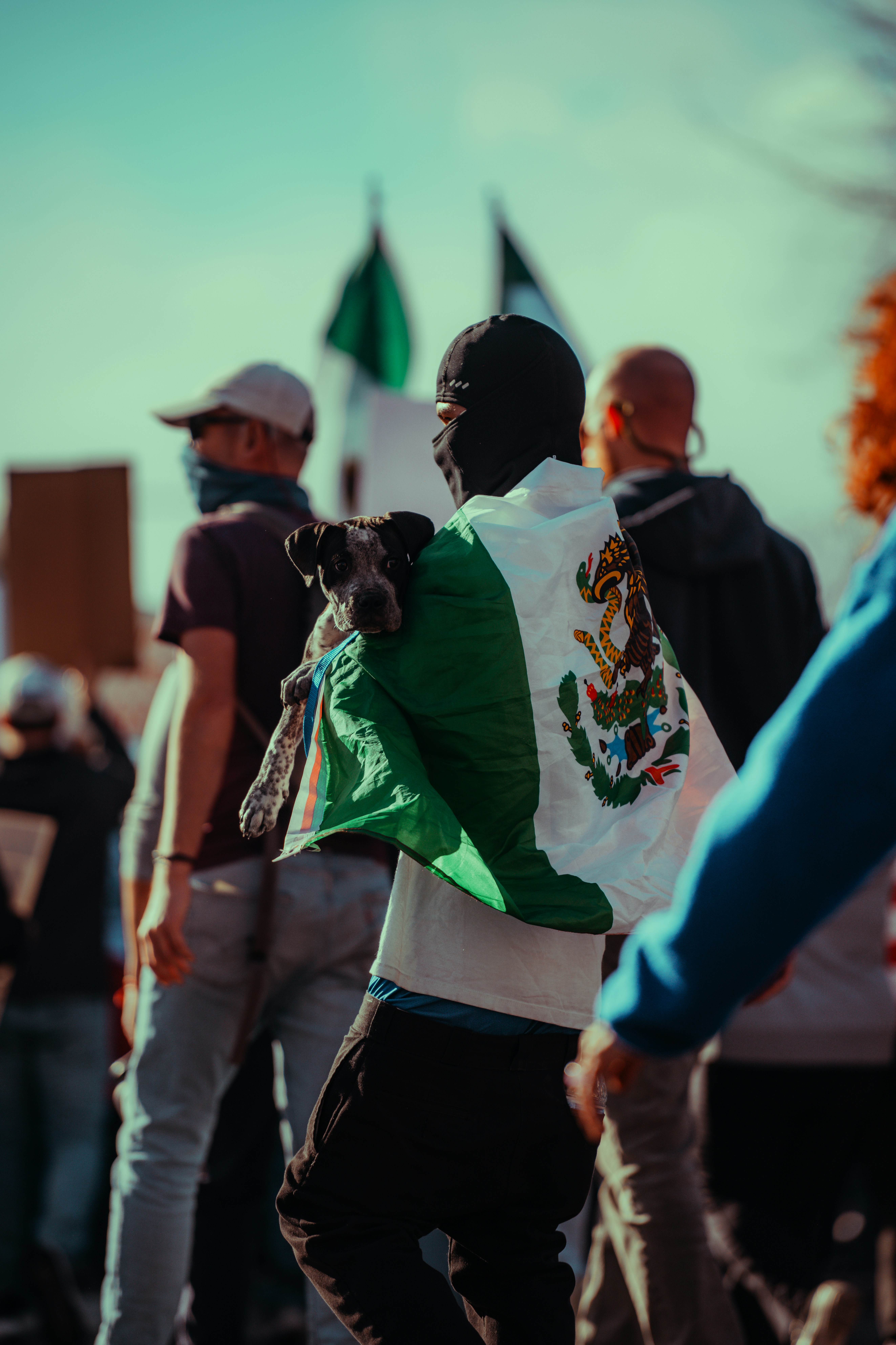 Flag-bearing figure cradle-between: a dog and a Mexican flag amid a quiet crowd