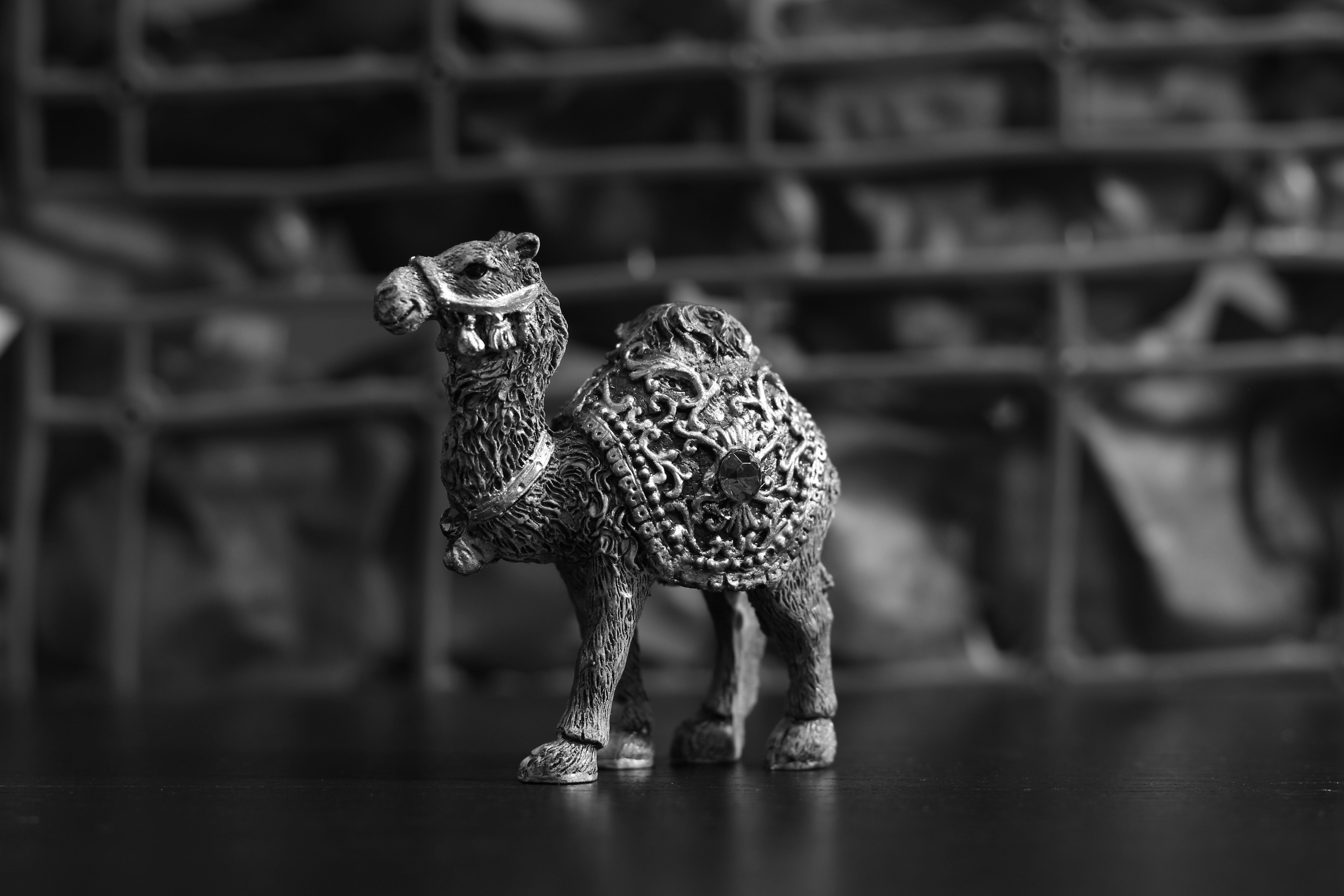 Monochrome Moment: A Lone Camel Figurine in a Quiet Studio