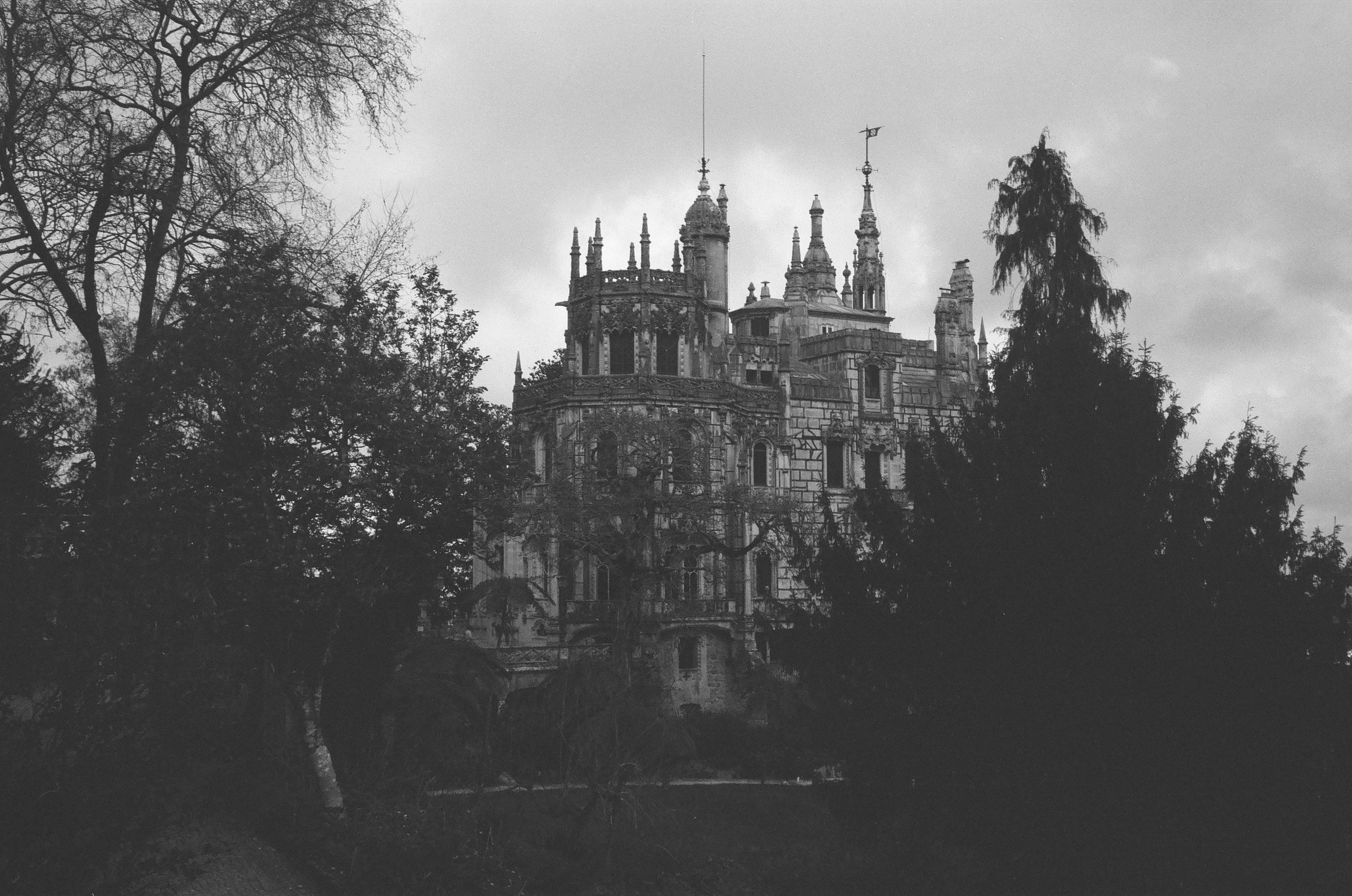 Gothic-style building surrounded by leafless trees under a cloudy sky.