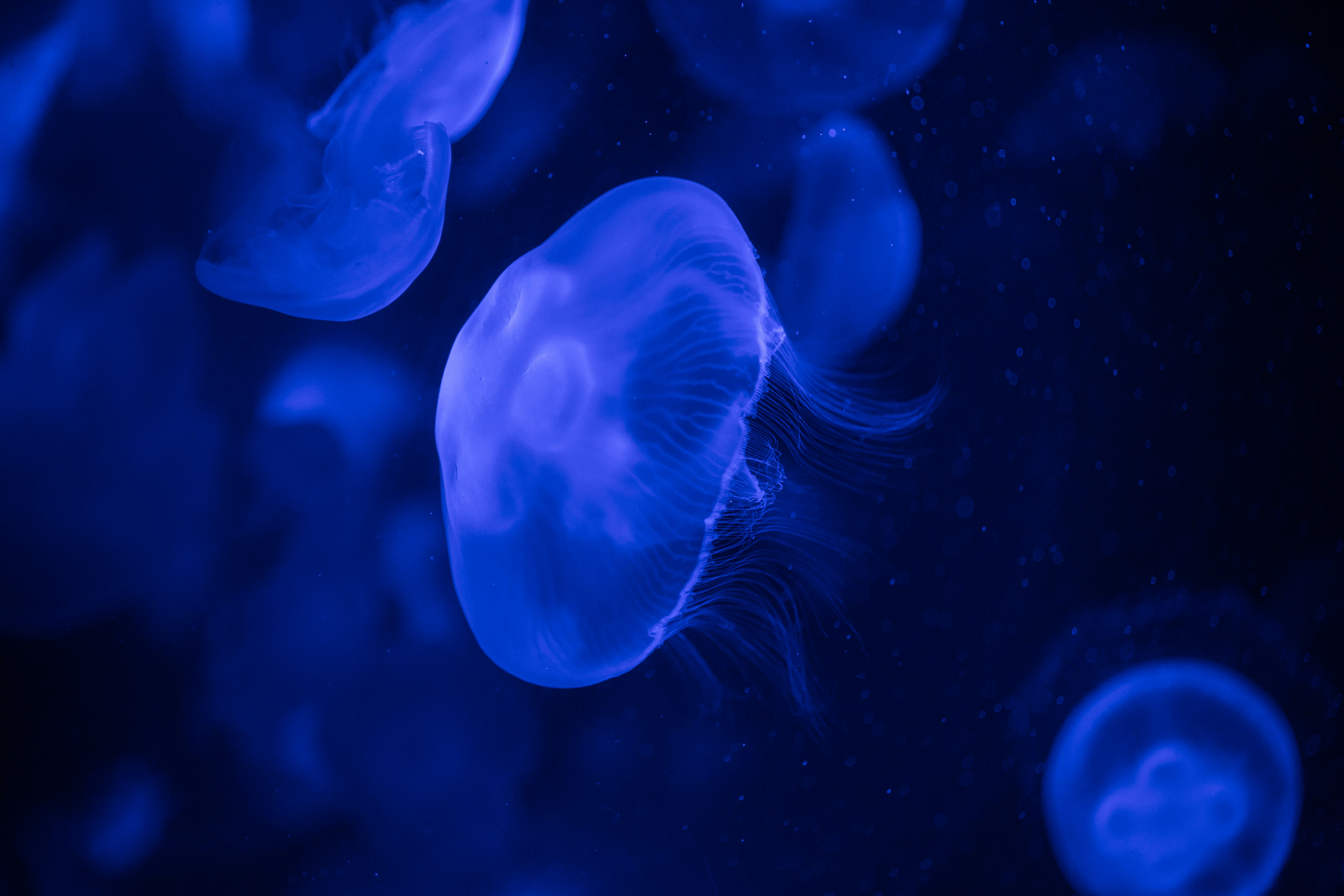 Photo by Rafael Peier with Canon EOS 5D Mark III