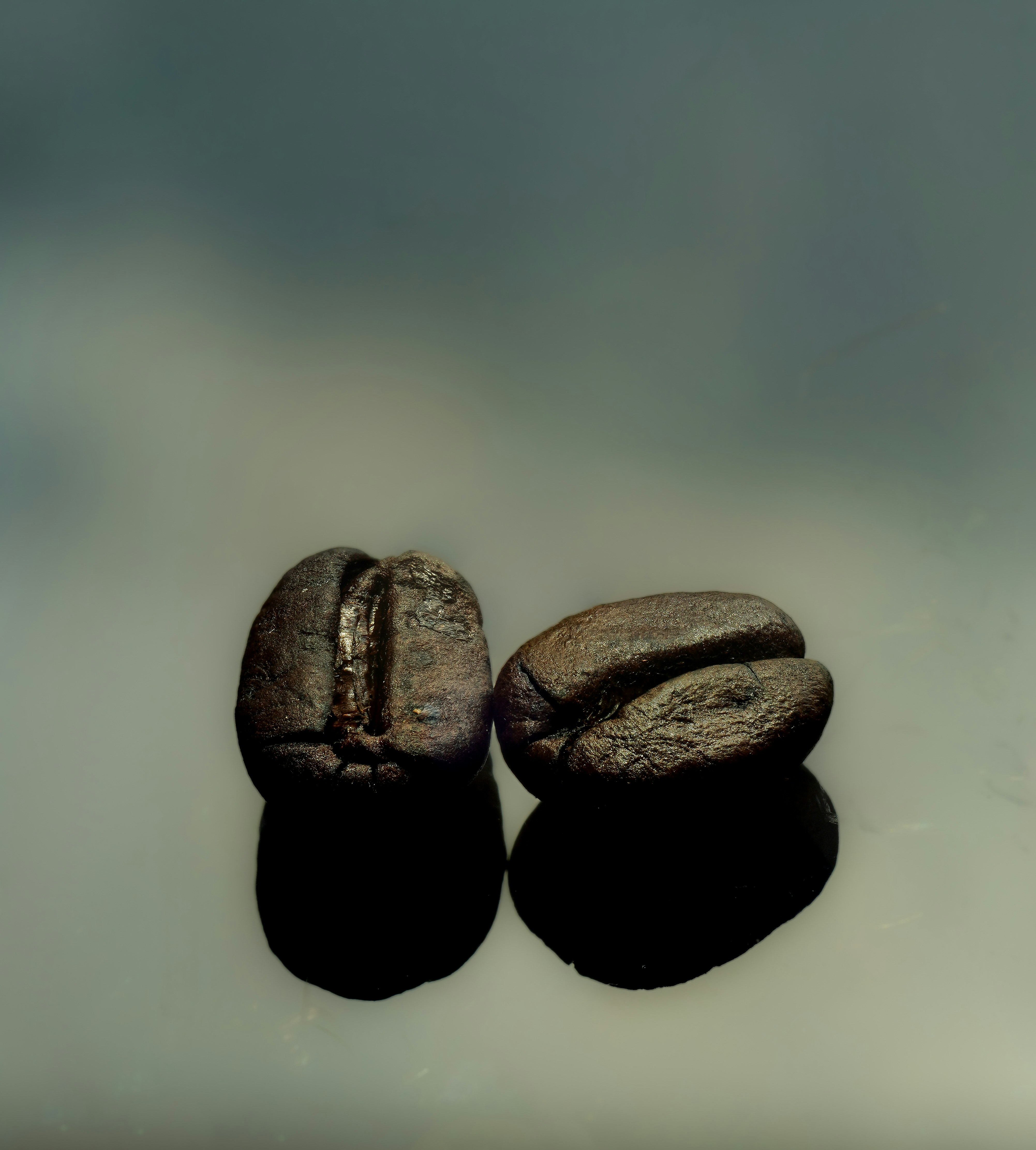 Two coffee beans are displayed on a gray surface. photo – Free Food ...