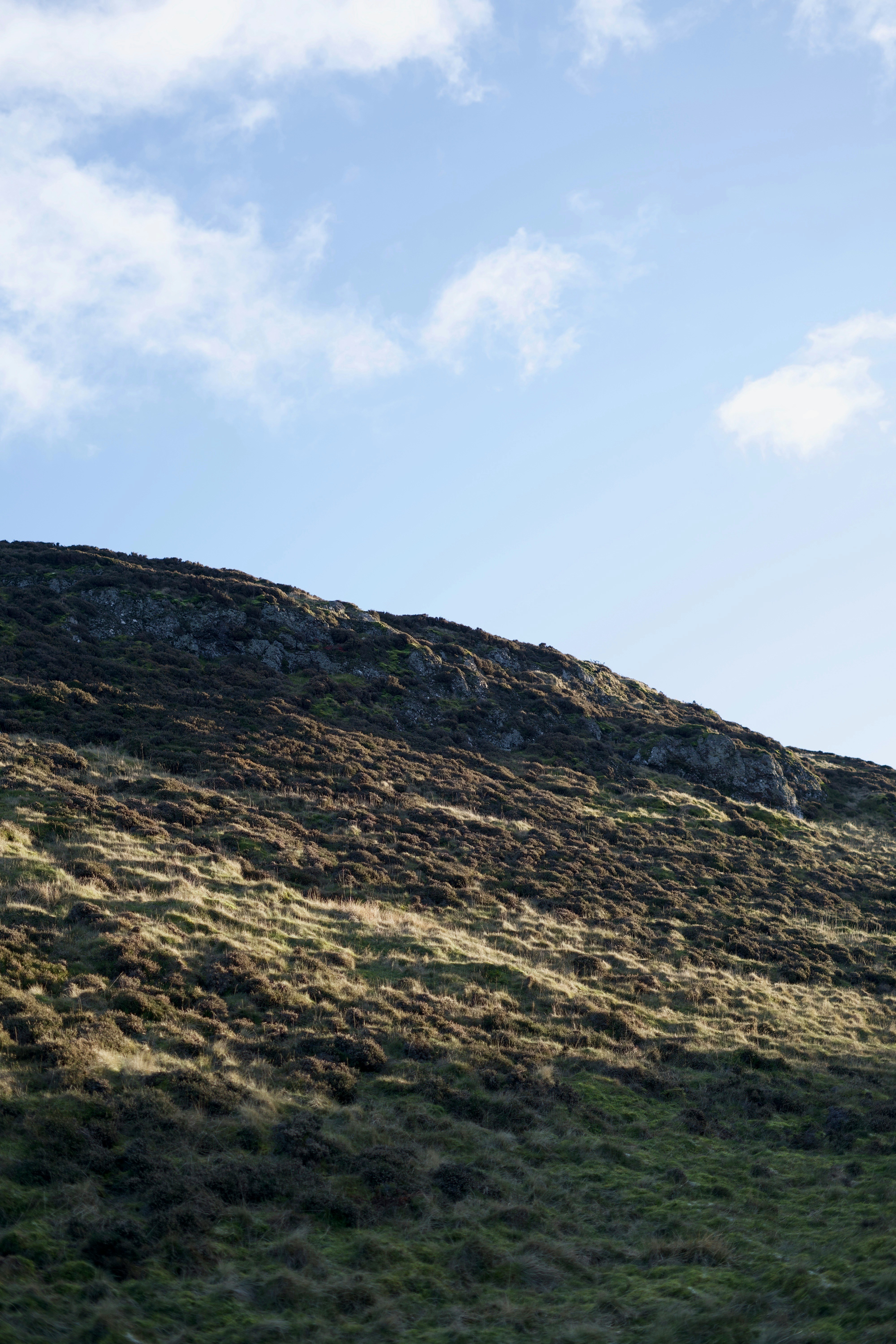 Photo by Kristen Verity Amm with Sony Alpha 7 III