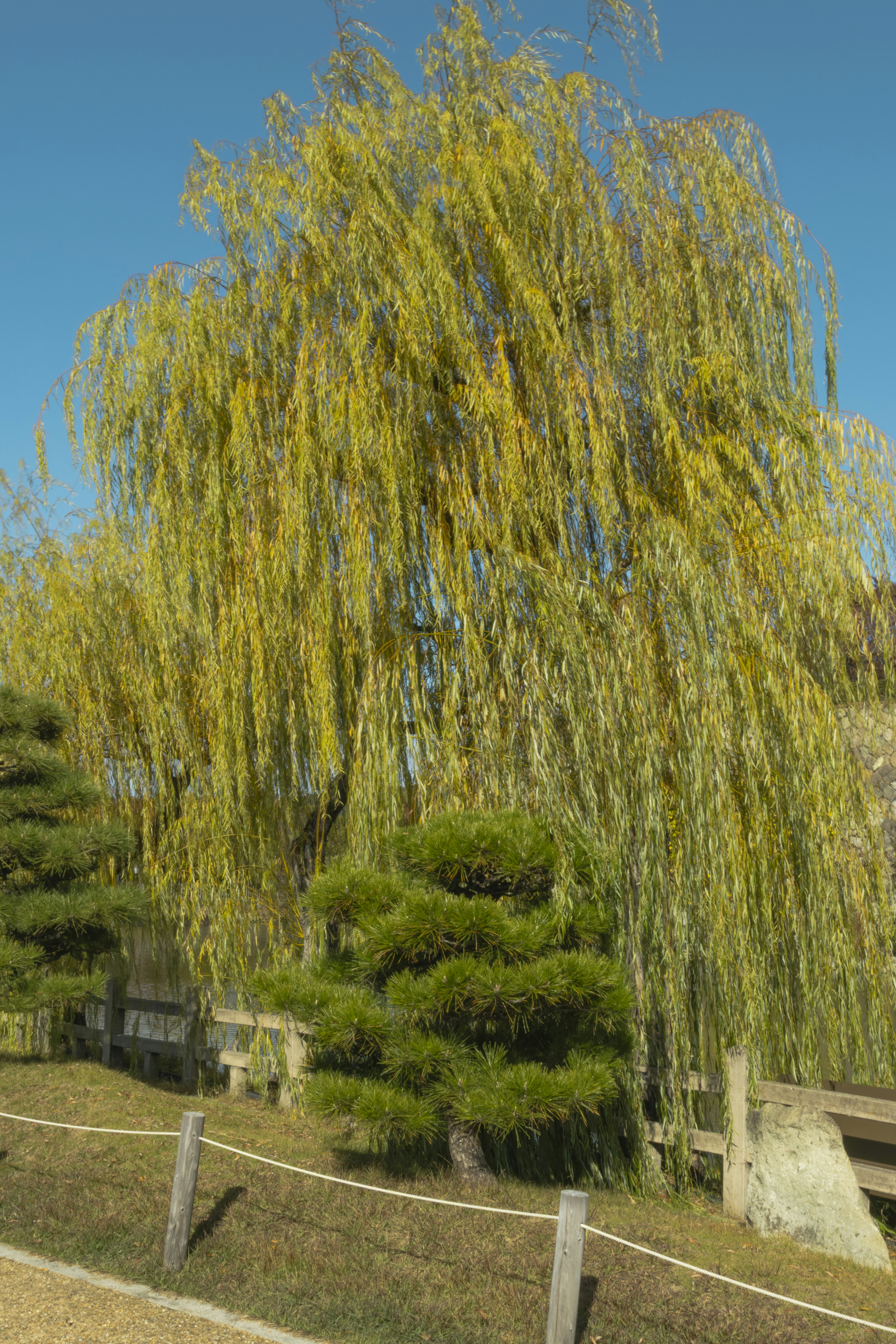 Photo by Charlie Charoenwattana with Canon EOS R7