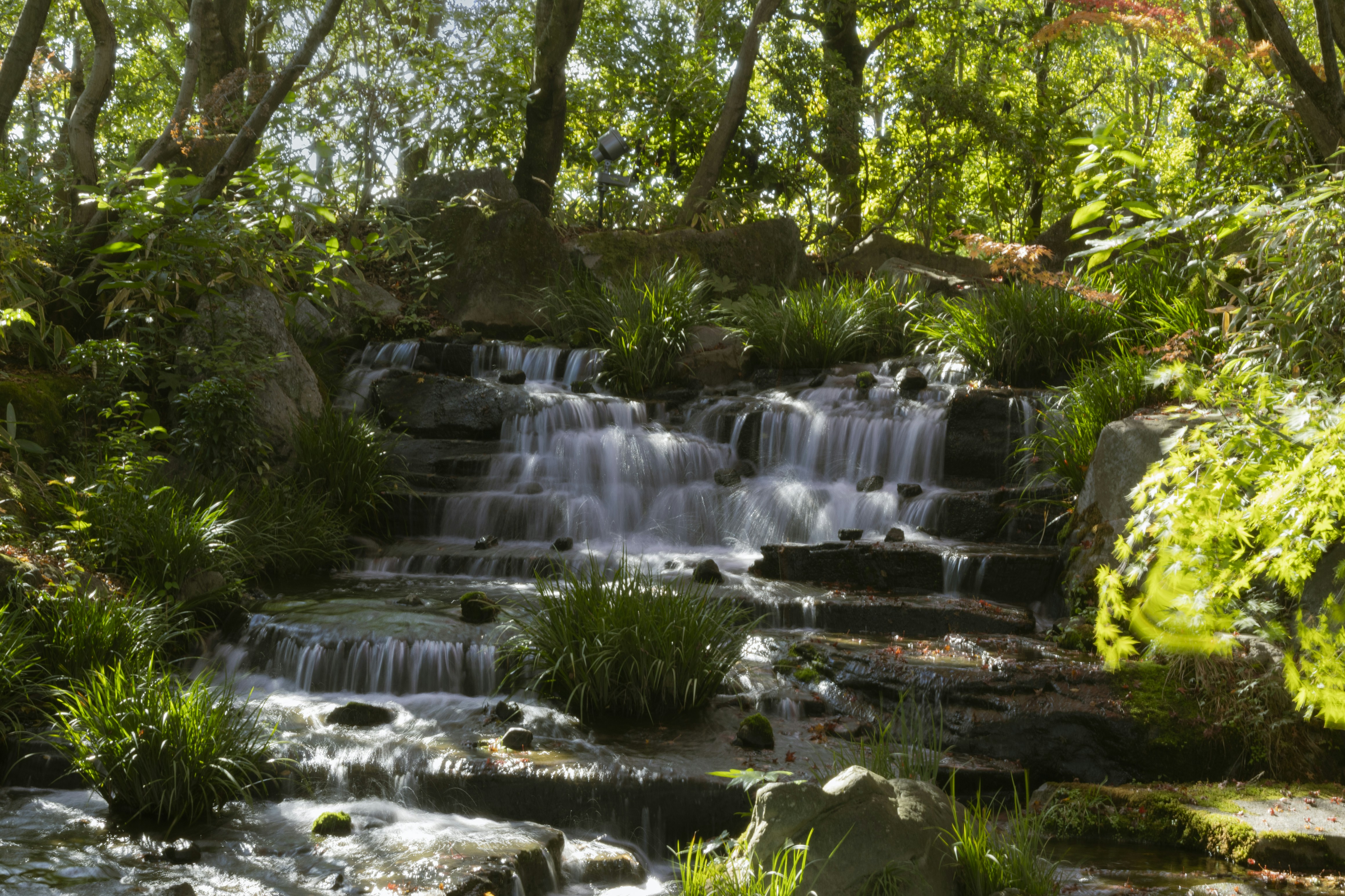 Gentle waterfall flows over moss-covered rocks surrounded by lush greenery in a sunlit forest.