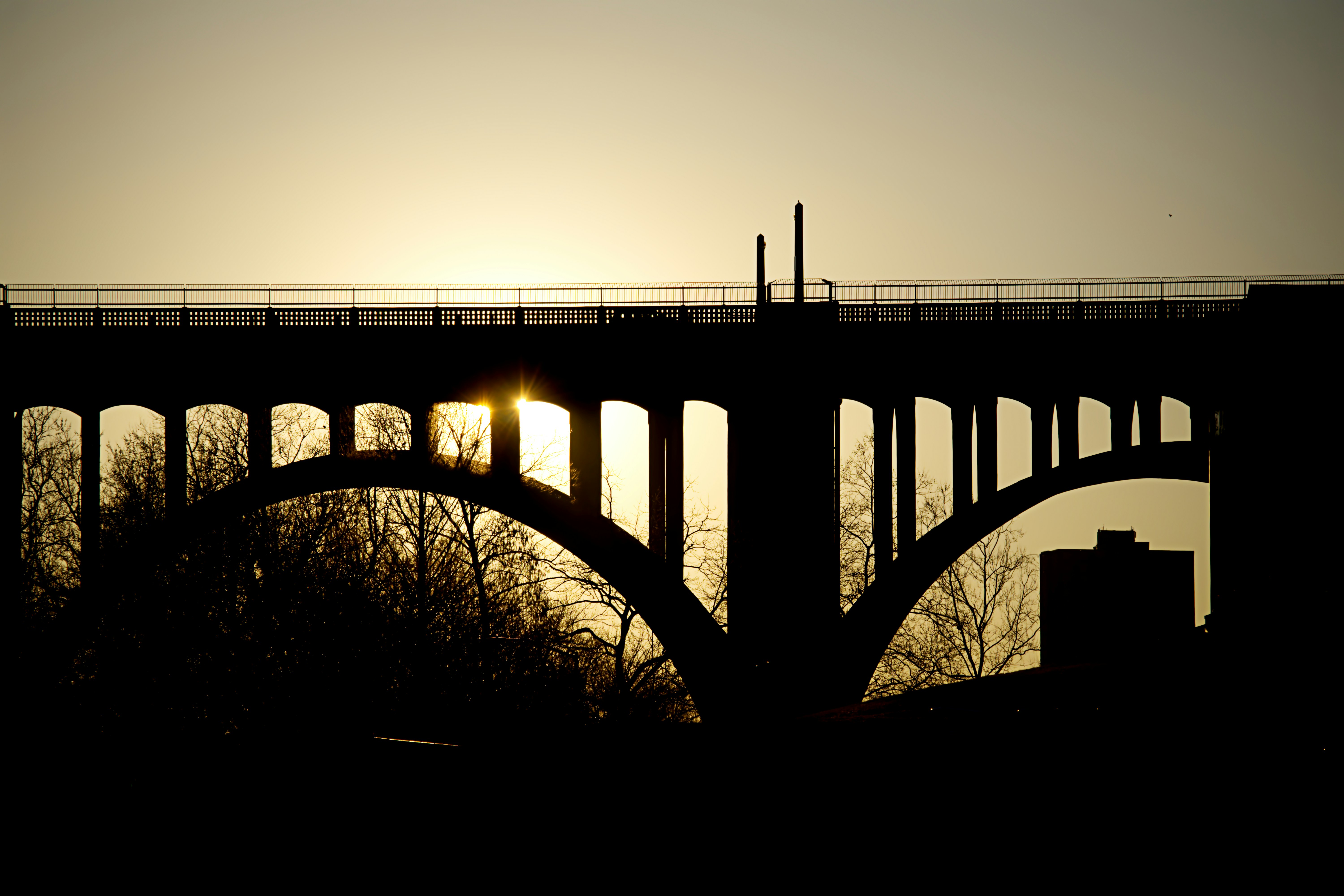 Silhouetted bridge arches against a golden sunrise with bare trees below.