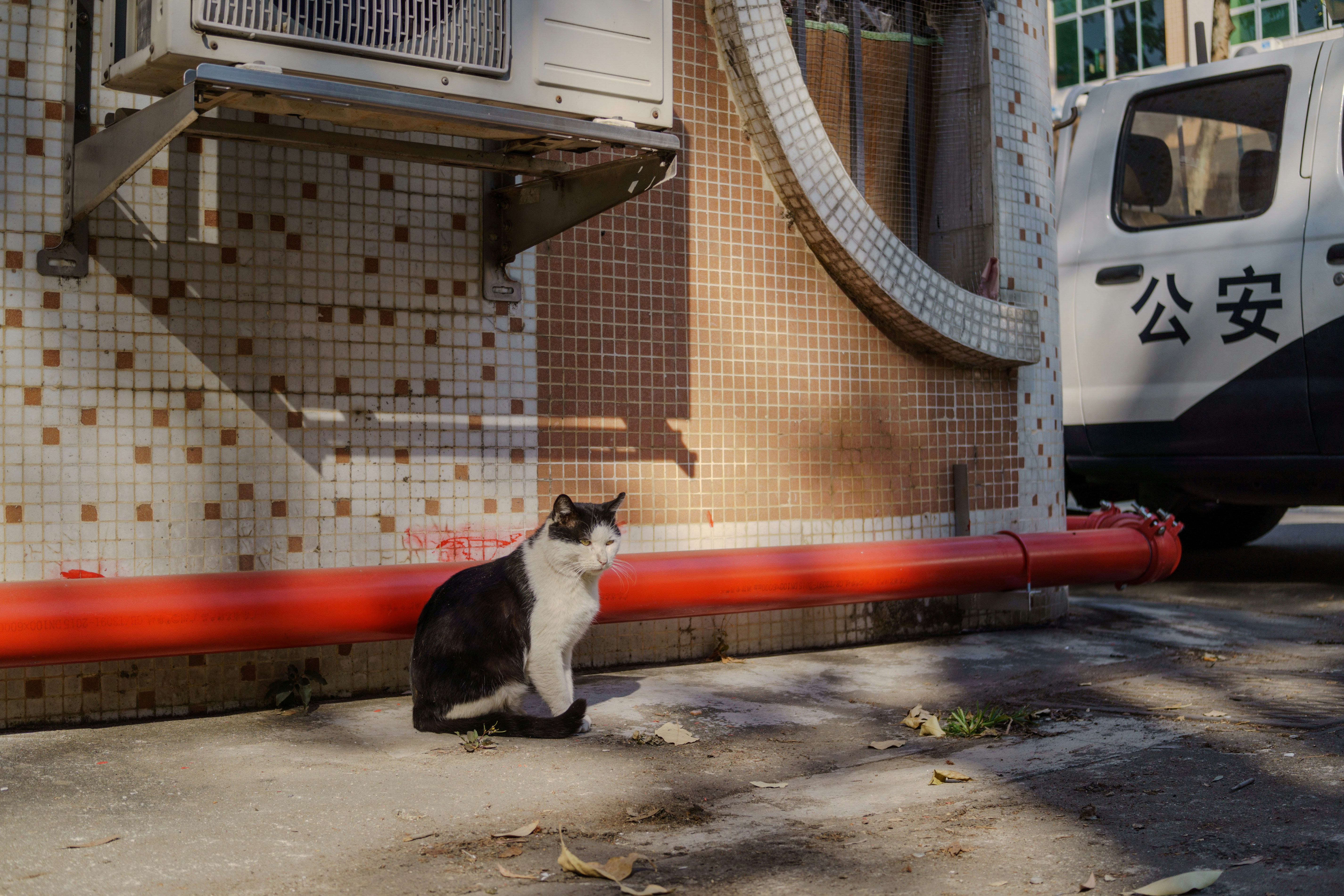 Photo by Shawn Rain with Sony Alpha 6400