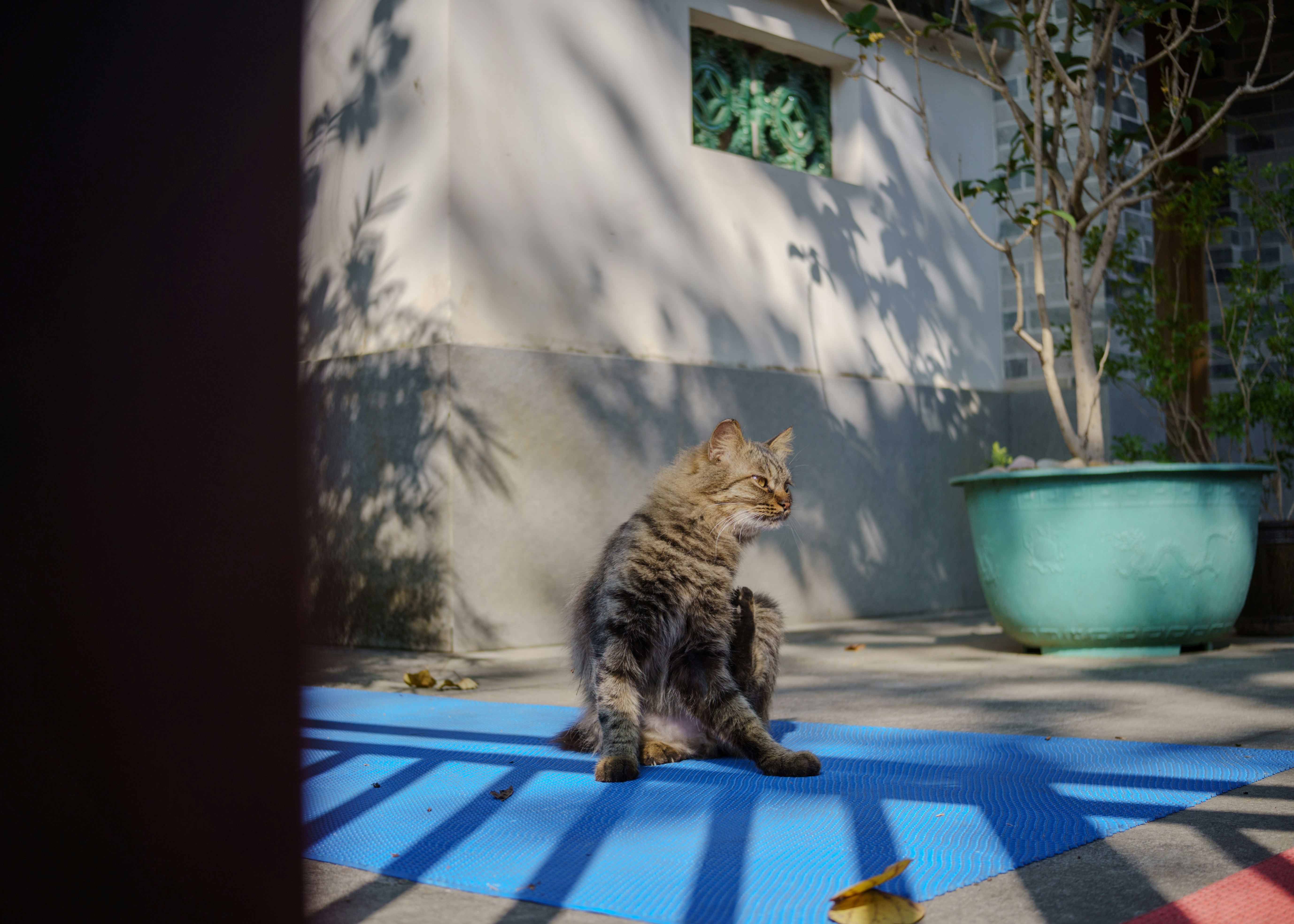 Photo by Shawn Rain with Sony Alpha 6400