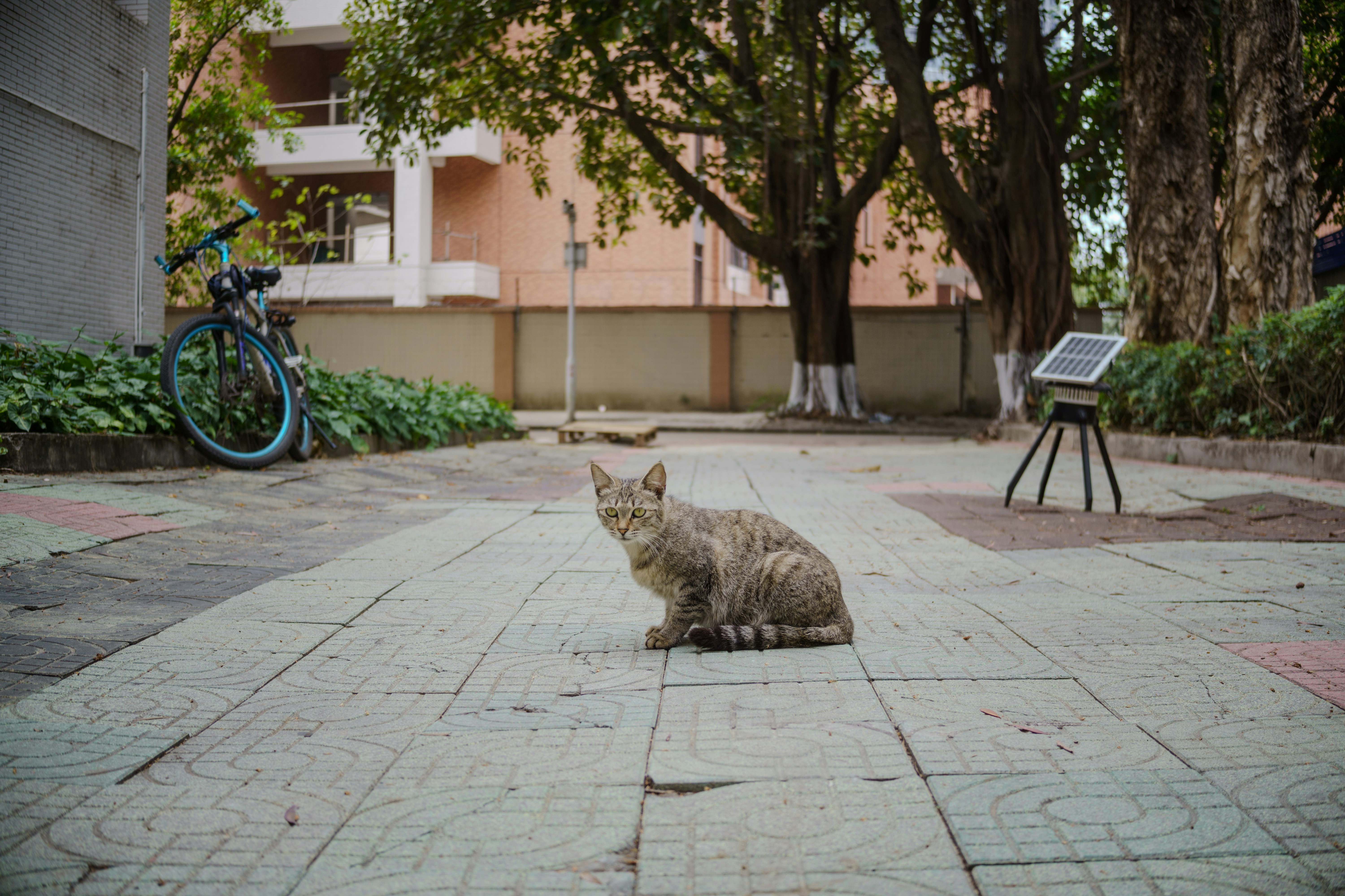 Photo by Shawn Rain with Sony Alpha 6400