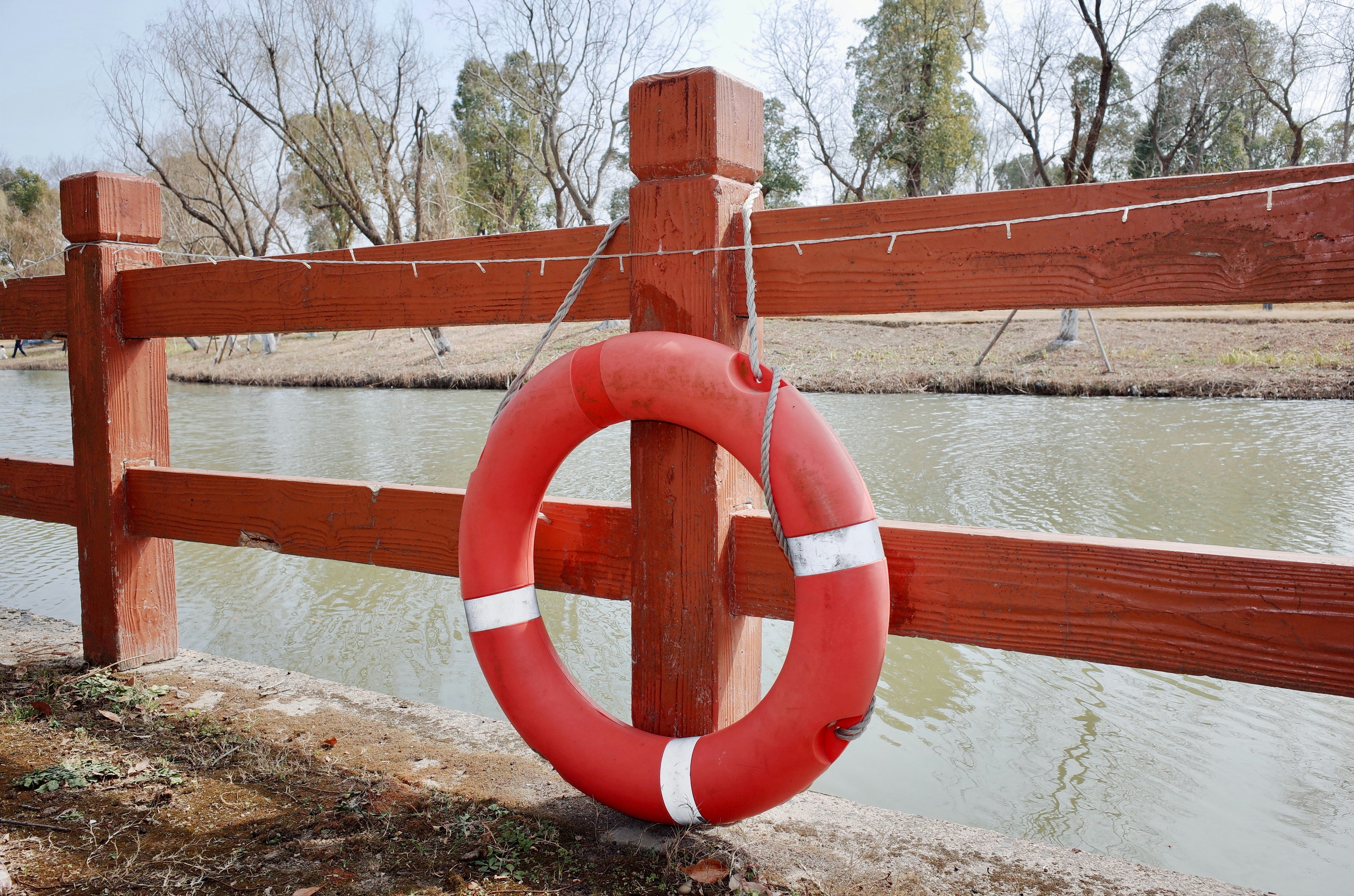 Life preserver hangs by a body of water. photo – Free Human Image on ...