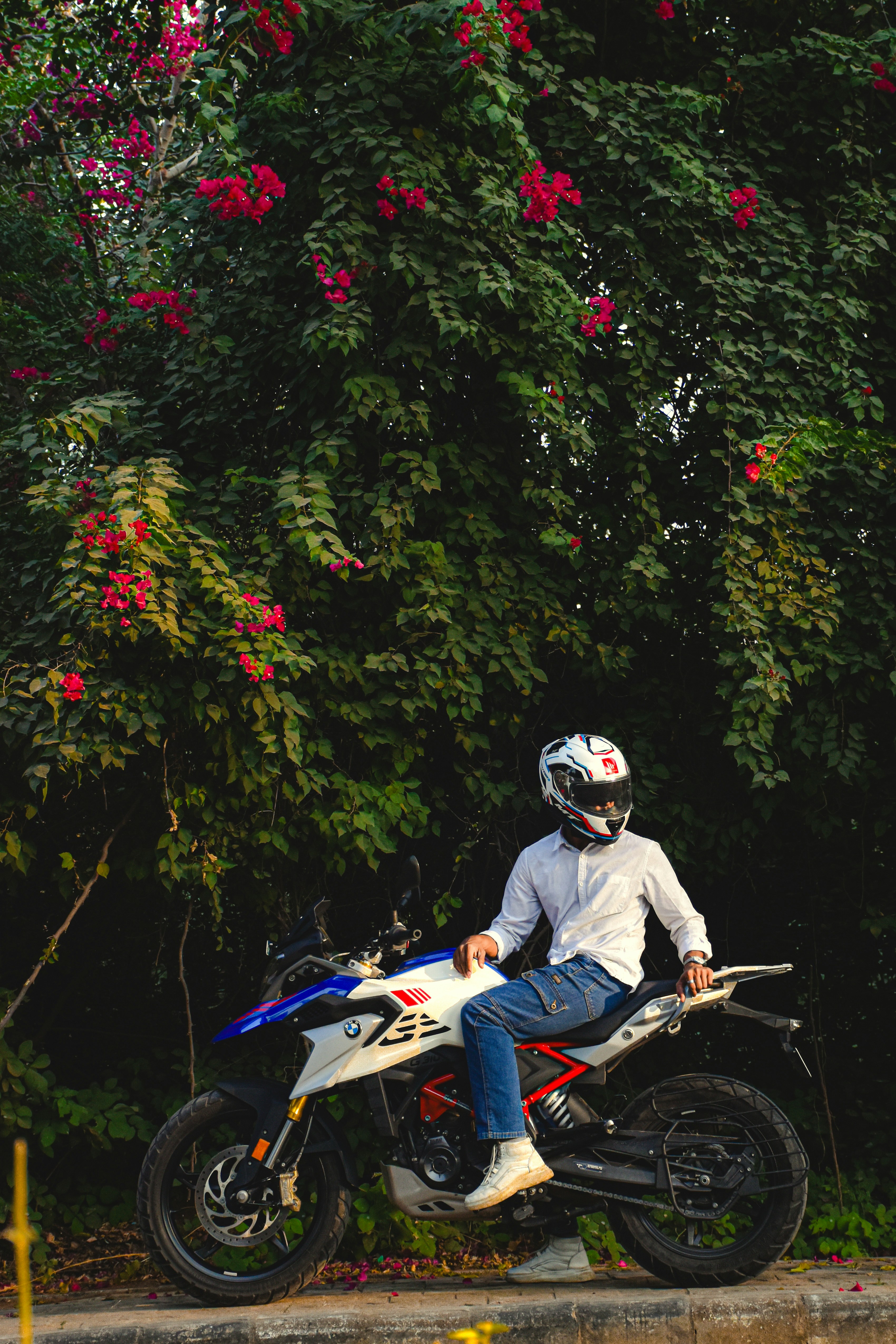 Paused Amid Pink Blossoms: Rider on a Blue-White Dual-Sport