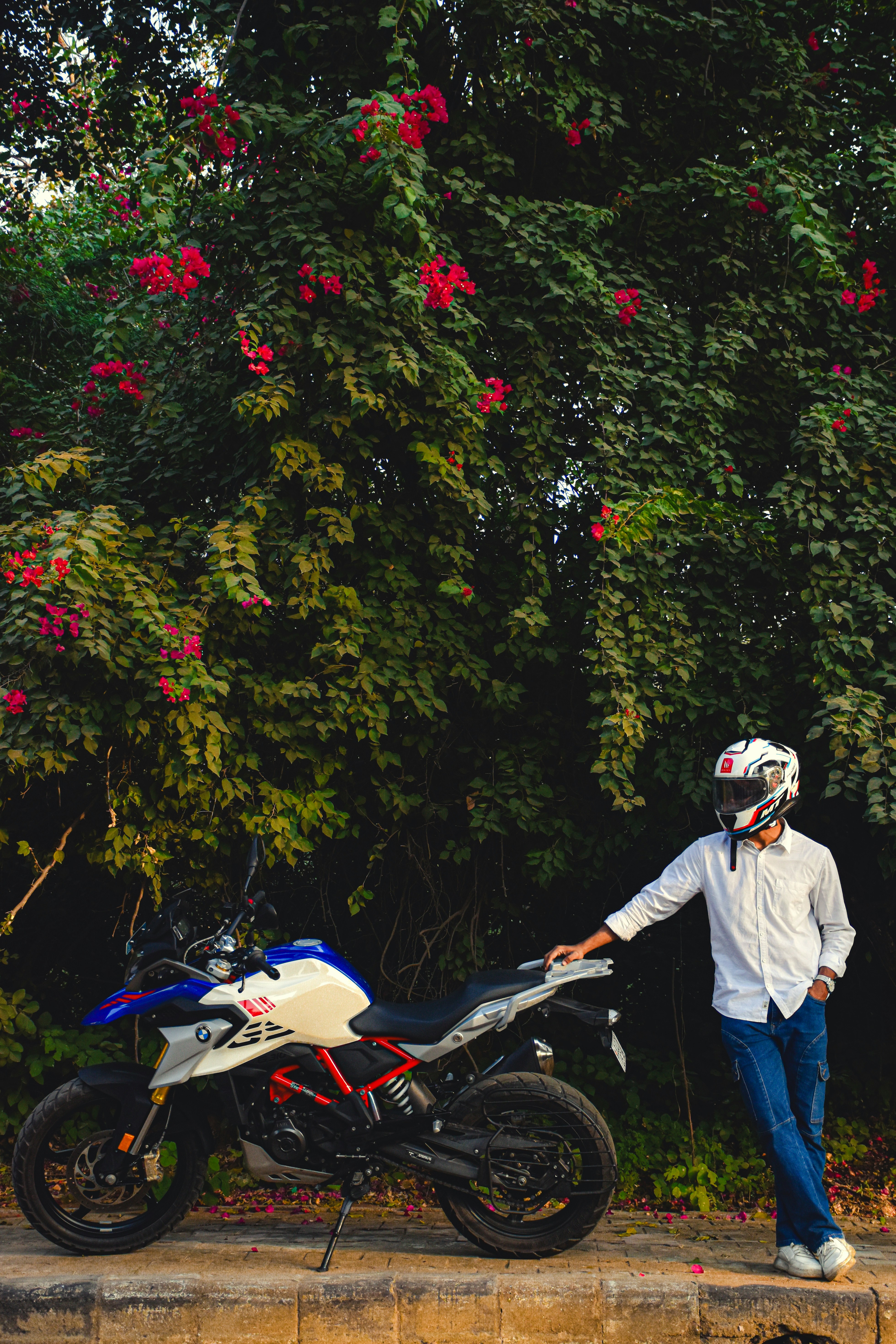Man and motorcycle pose by a blooming tree. photo – Free Portrait Image ...