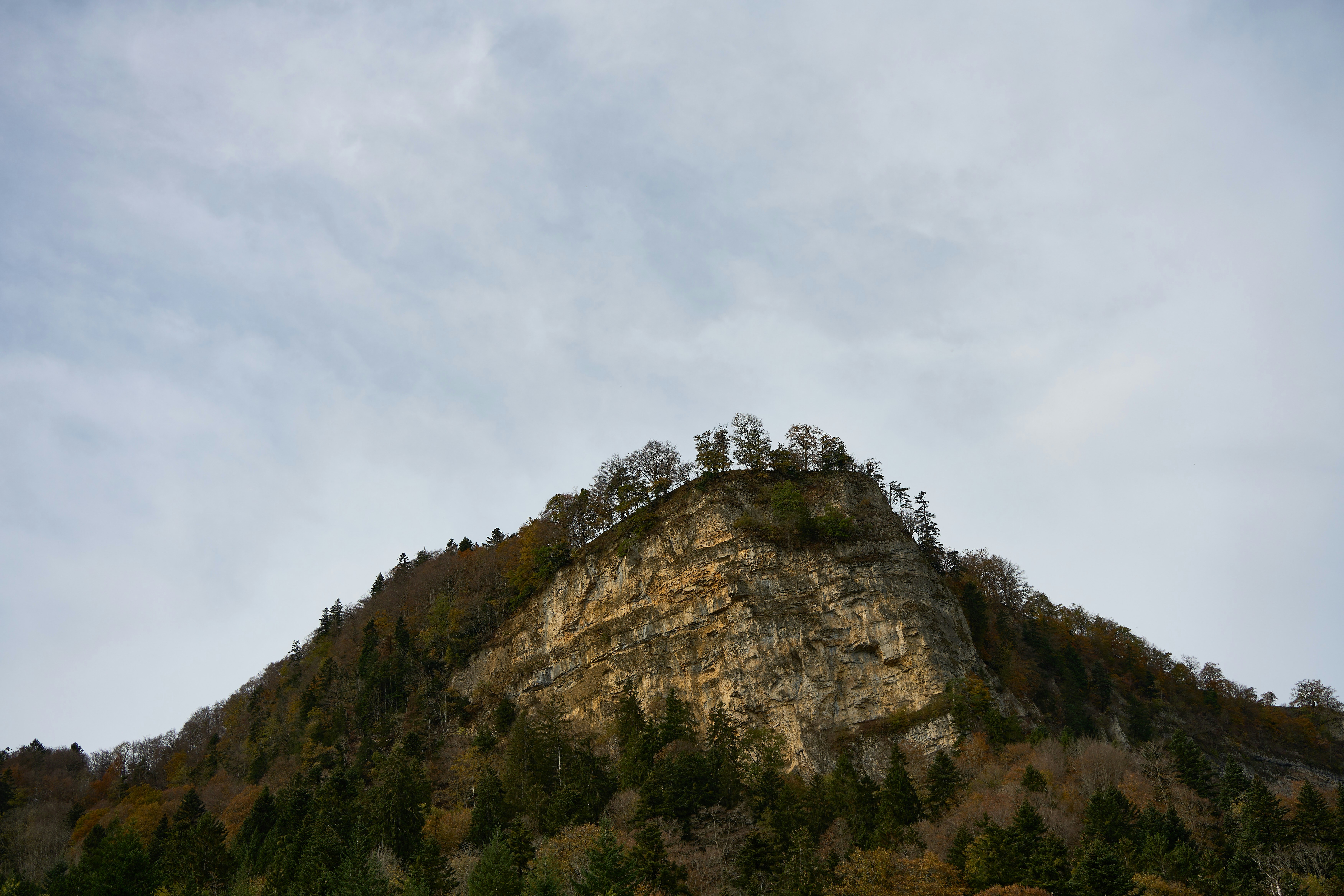 Rocky hilltop with sparse trees against a cloudy sky.