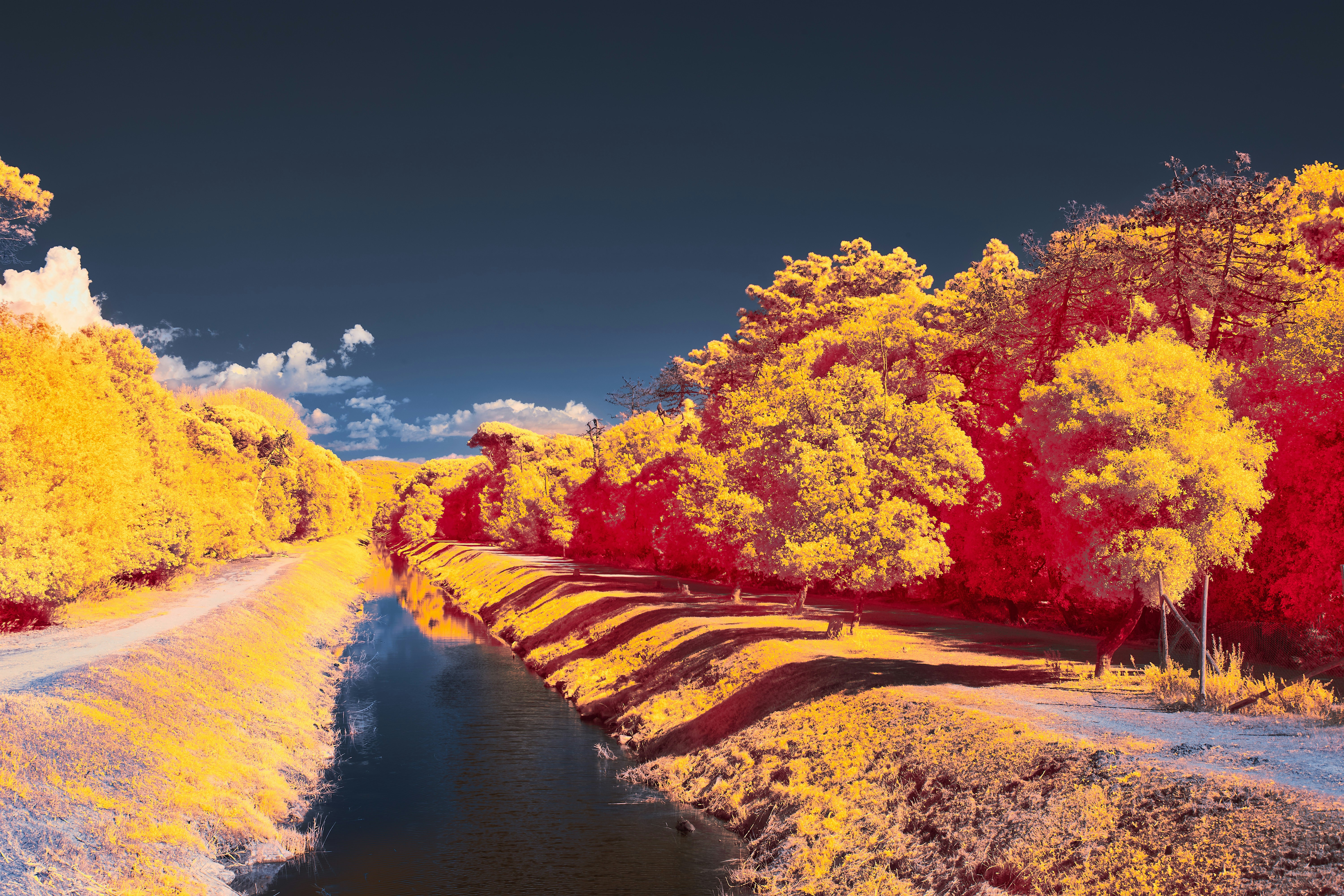 Infrared view of a canal lined with vibrant yellow and red trees under a dark sky.