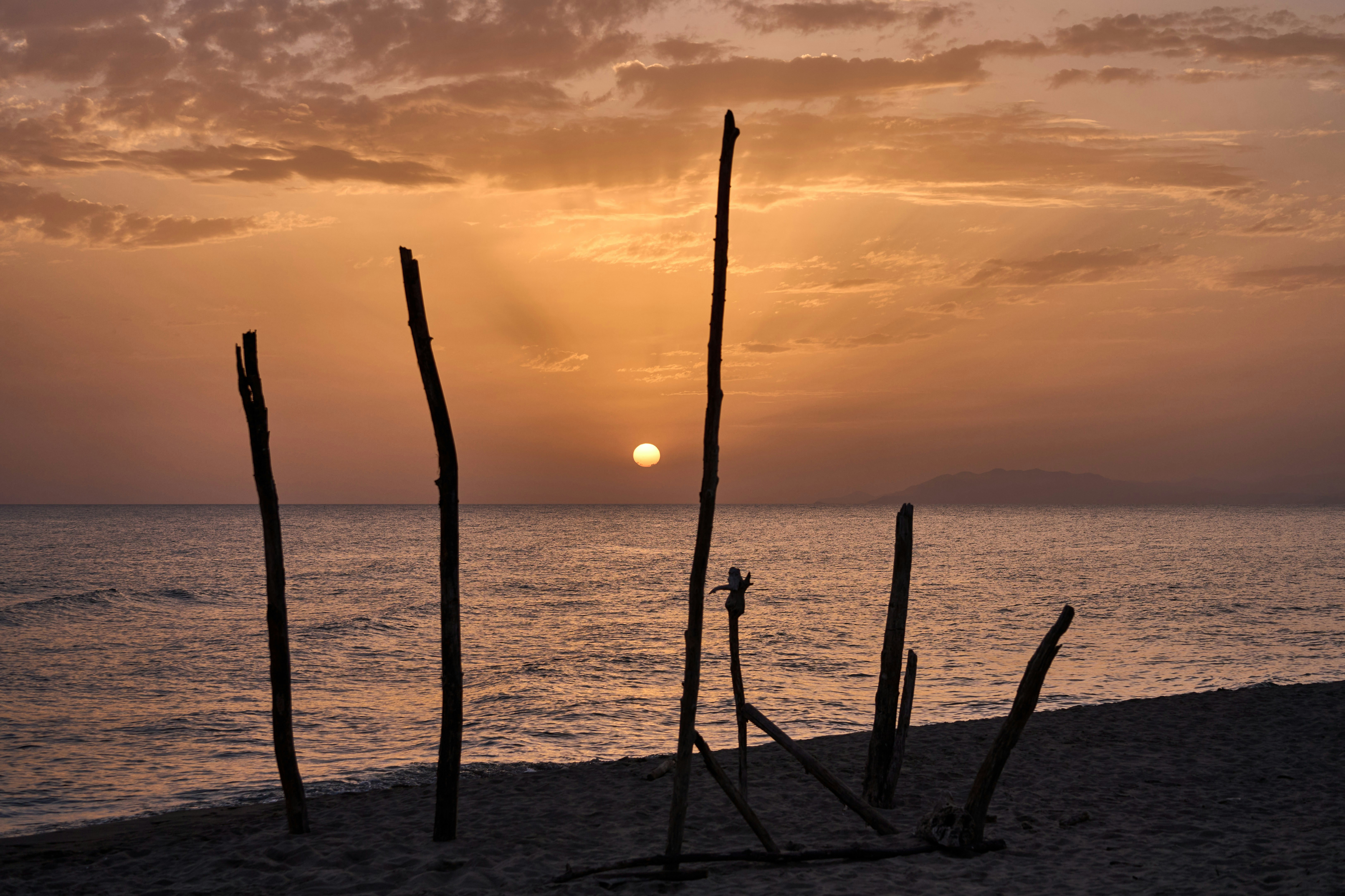 Whispers of Twilight on the Shore