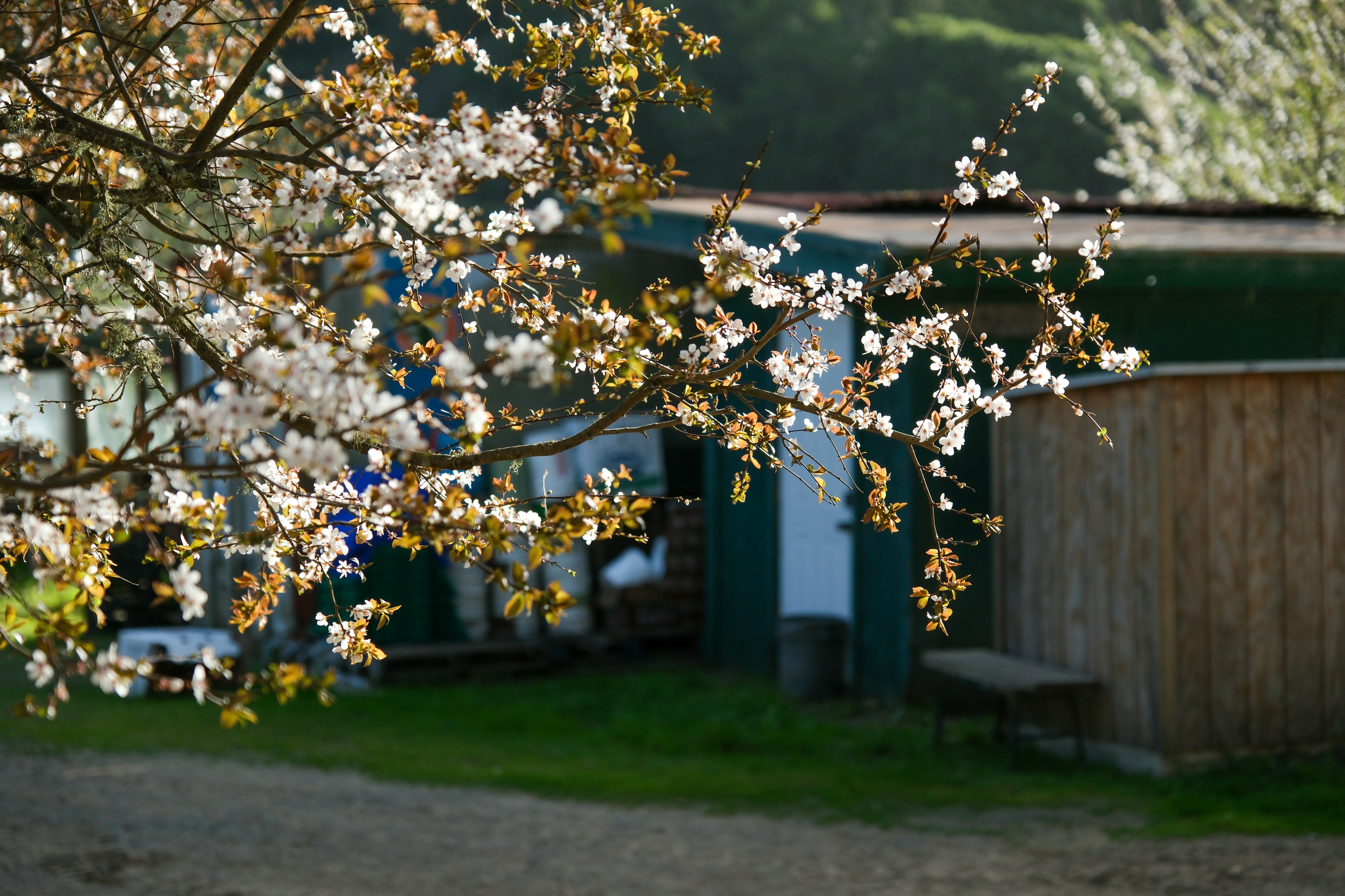 Photo by David Yao with Fujifilm X-T5