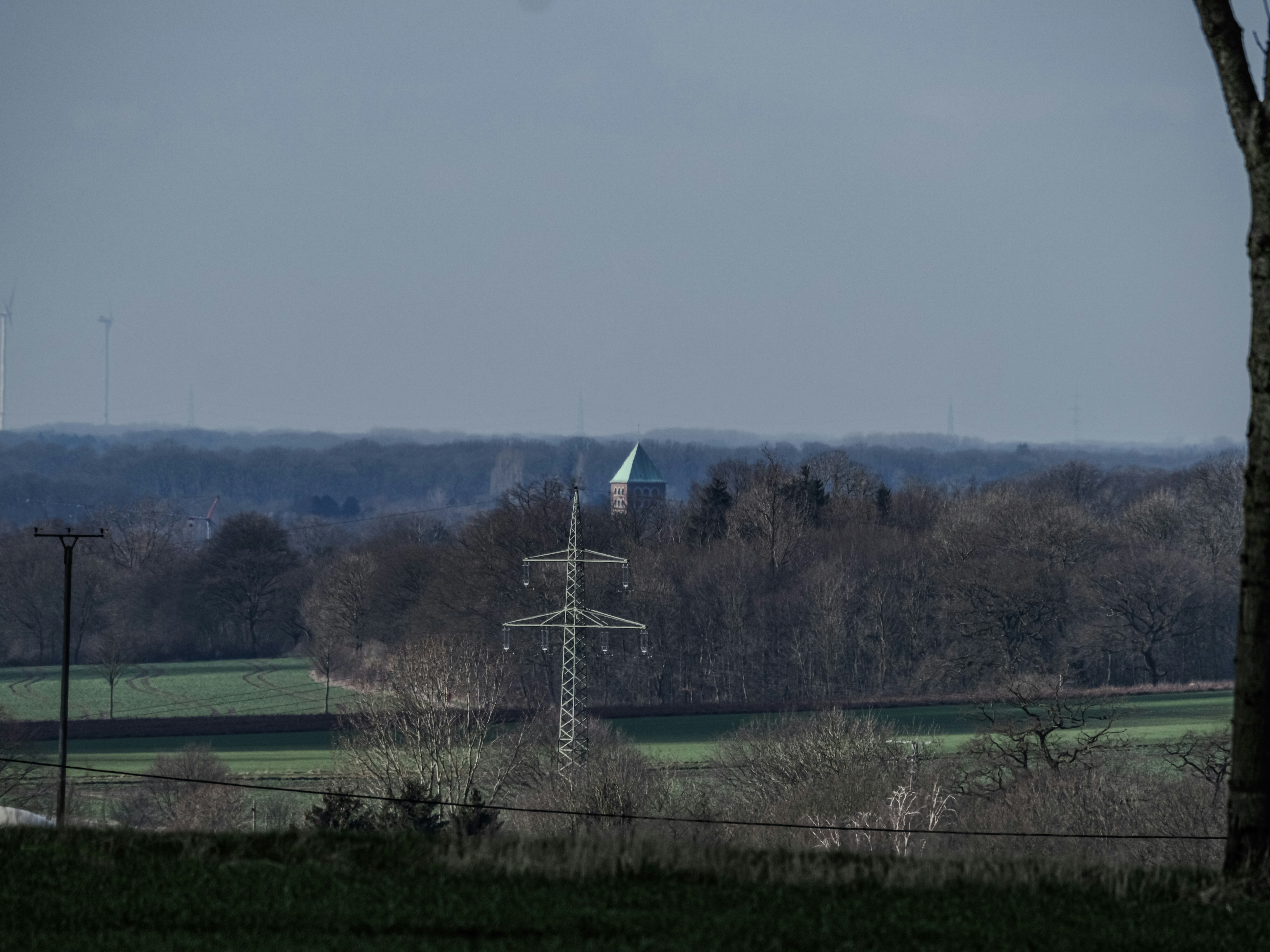 Distant landscape with a green-roofed tower peeking through a dense forest under a clear sky.