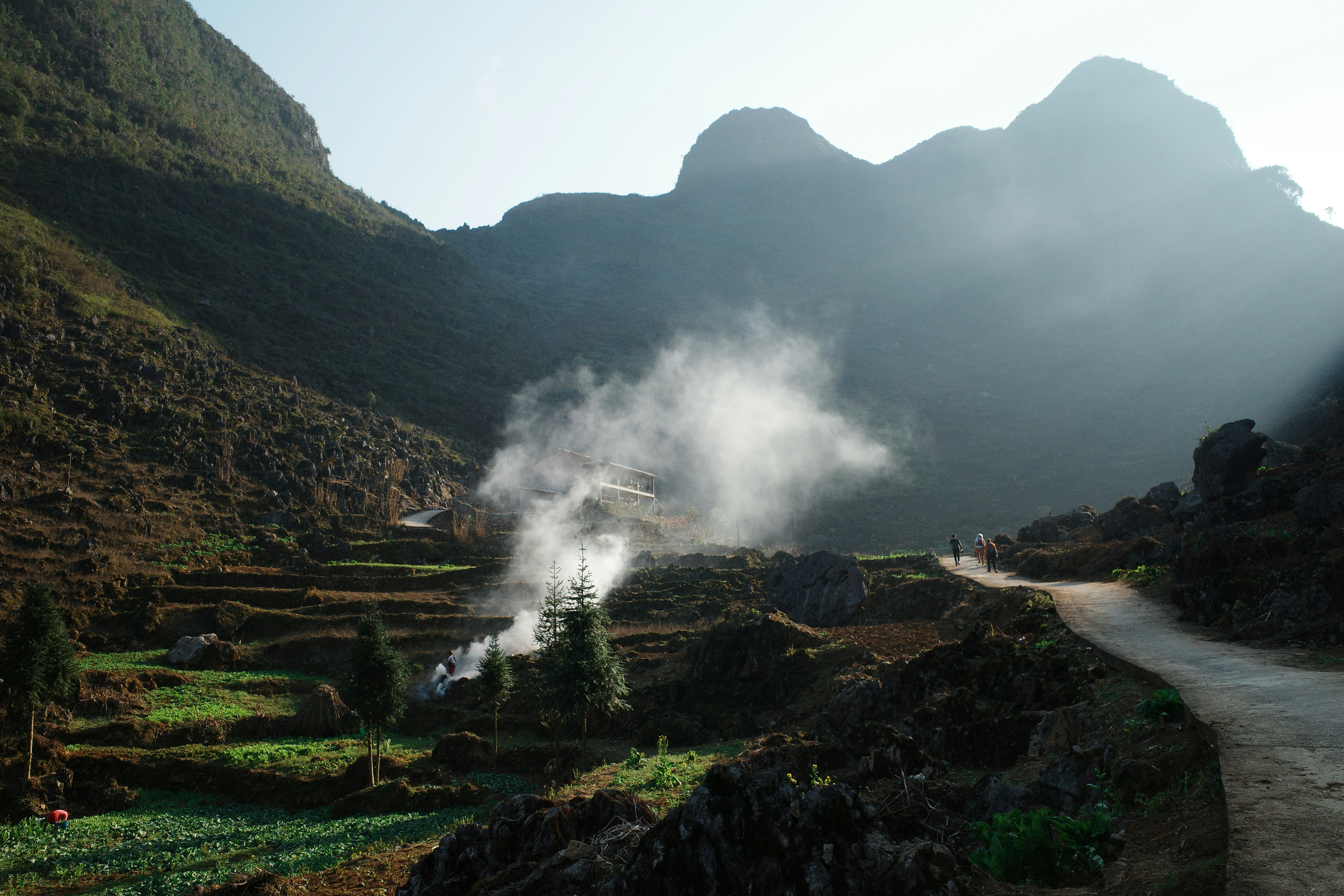 Morning Mist in Terraced Valleys