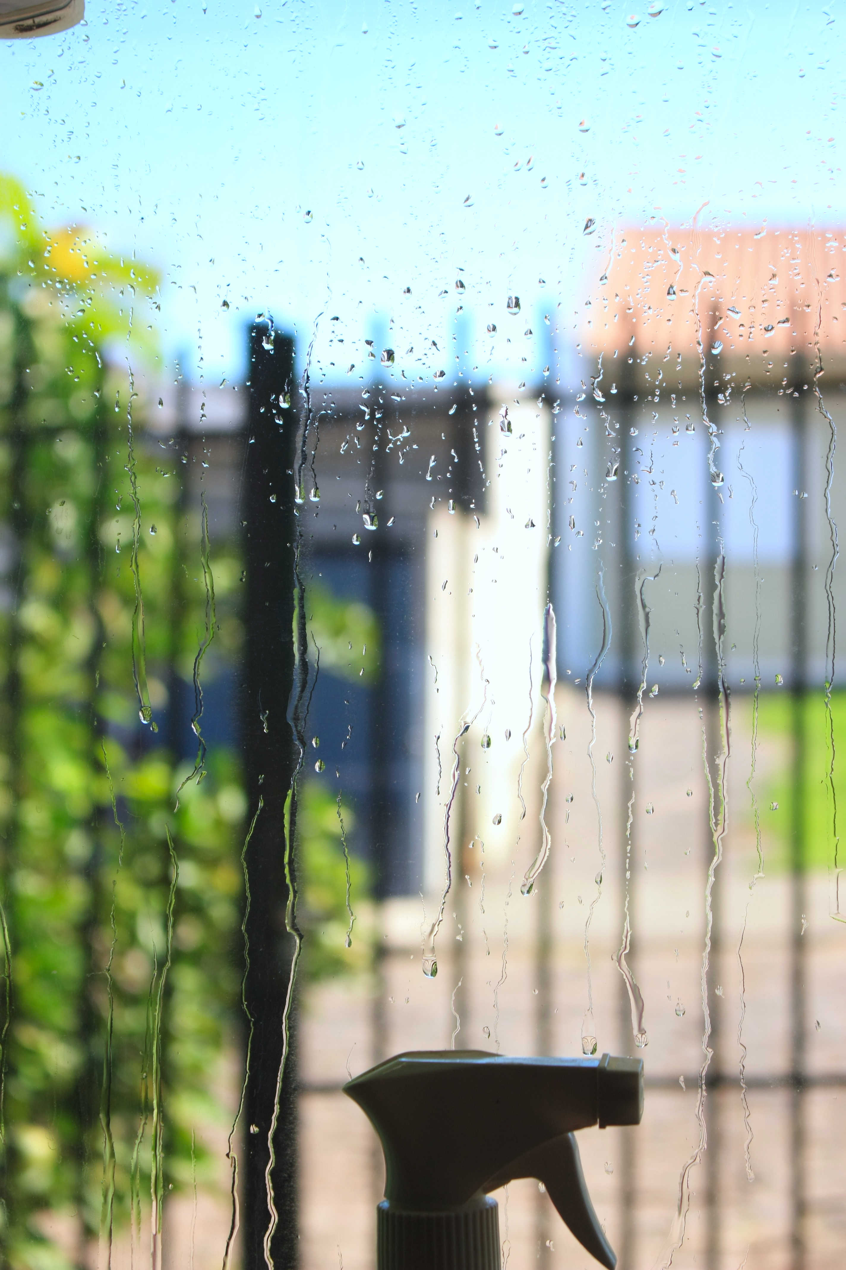 Dripping Effect Pictures | Download Free Images on Unsplash
