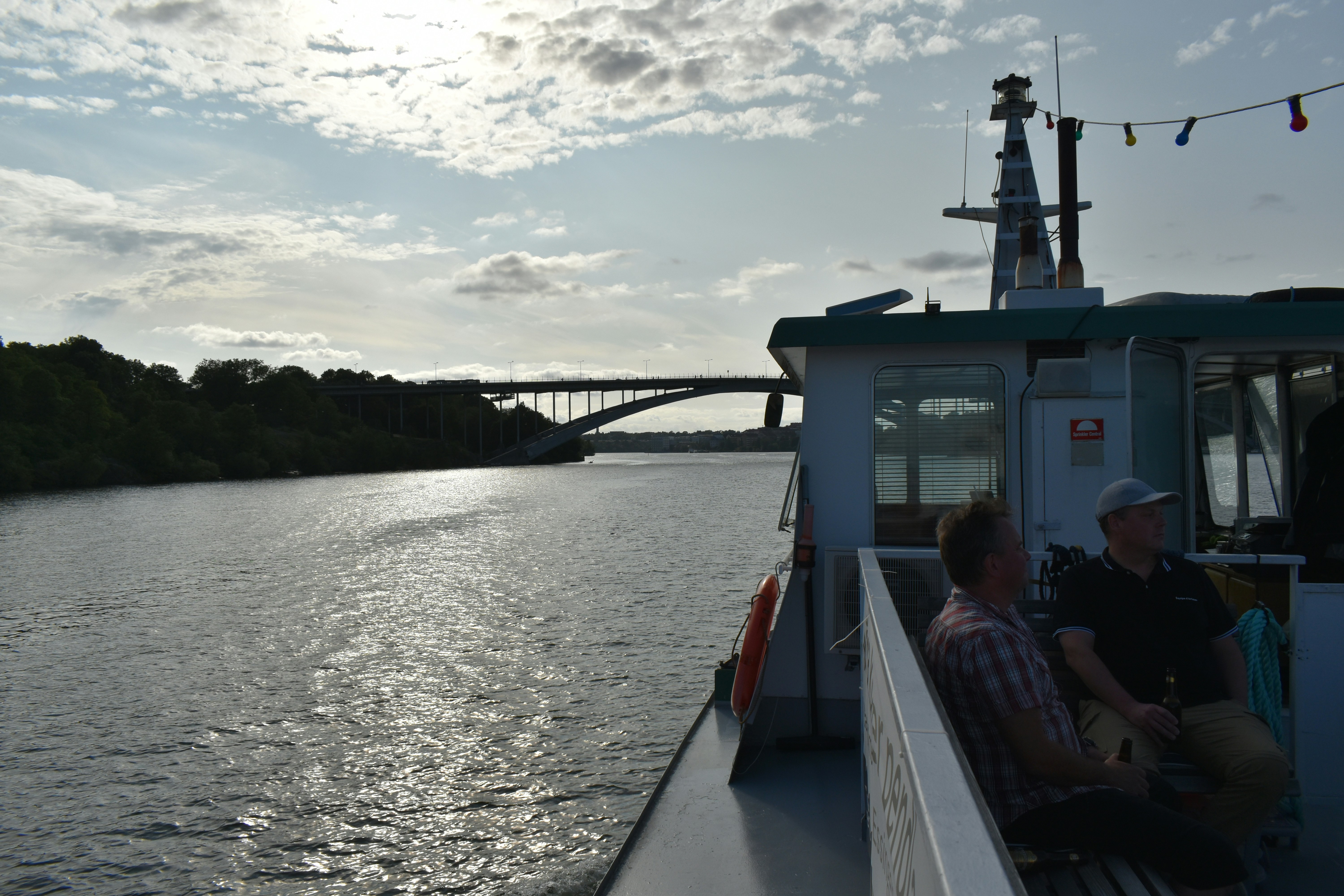 Journey Beneath the Sunlit Bridge