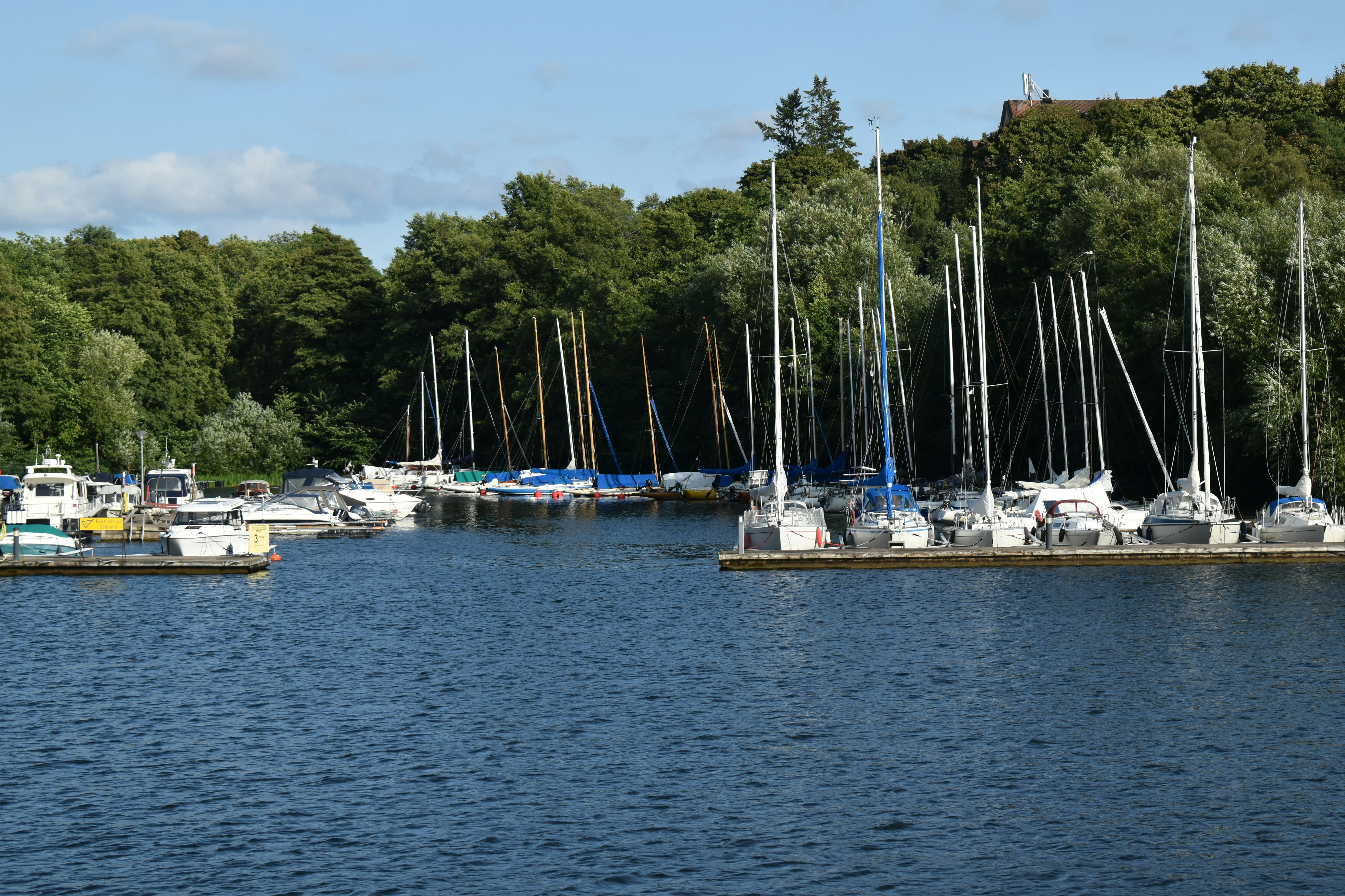 Sailboats moored at a tranquil marina surrounded by lush green trees under a clear blue sky.