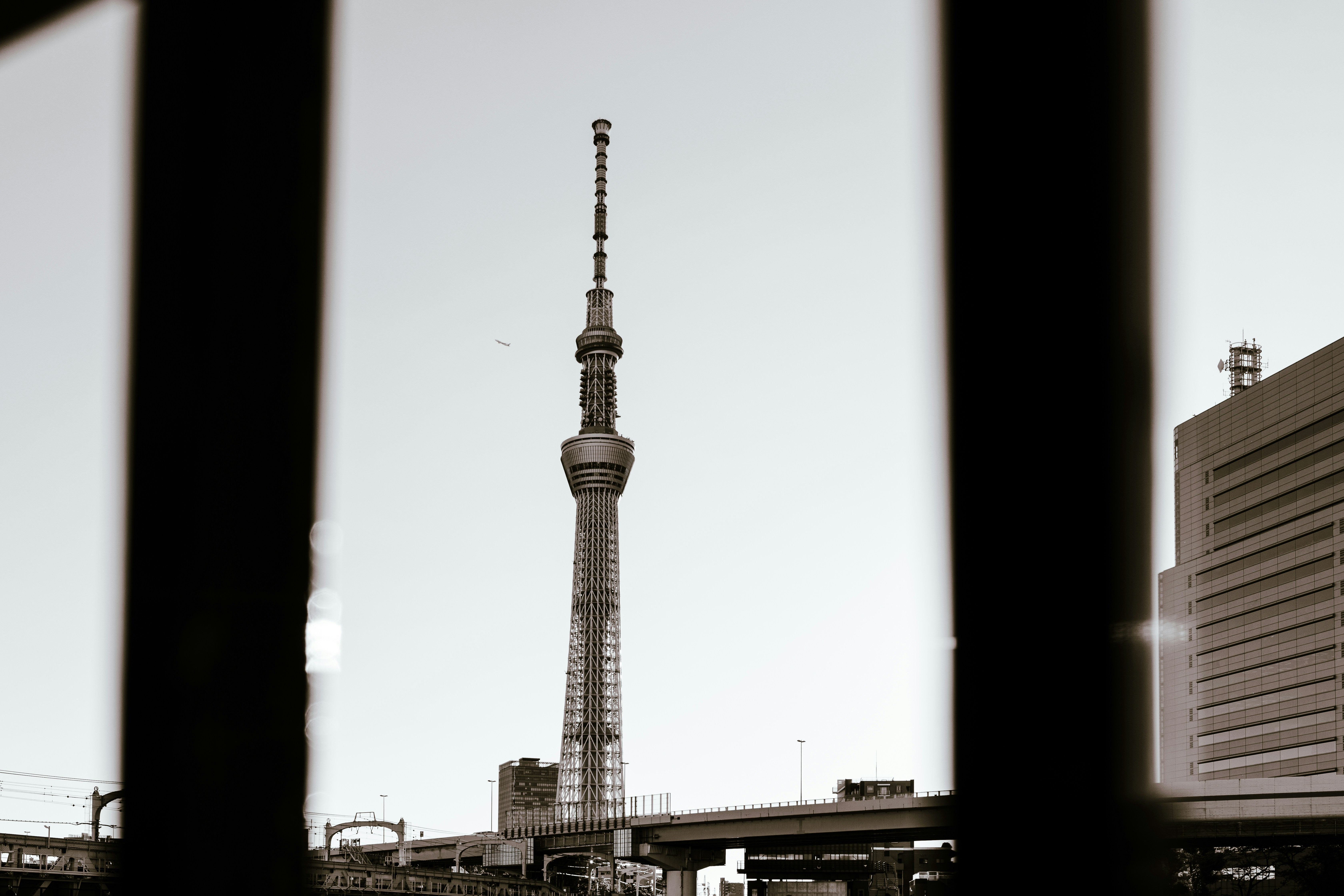 Tokyo Skytree framed by dark vertical bars against a pale sky.