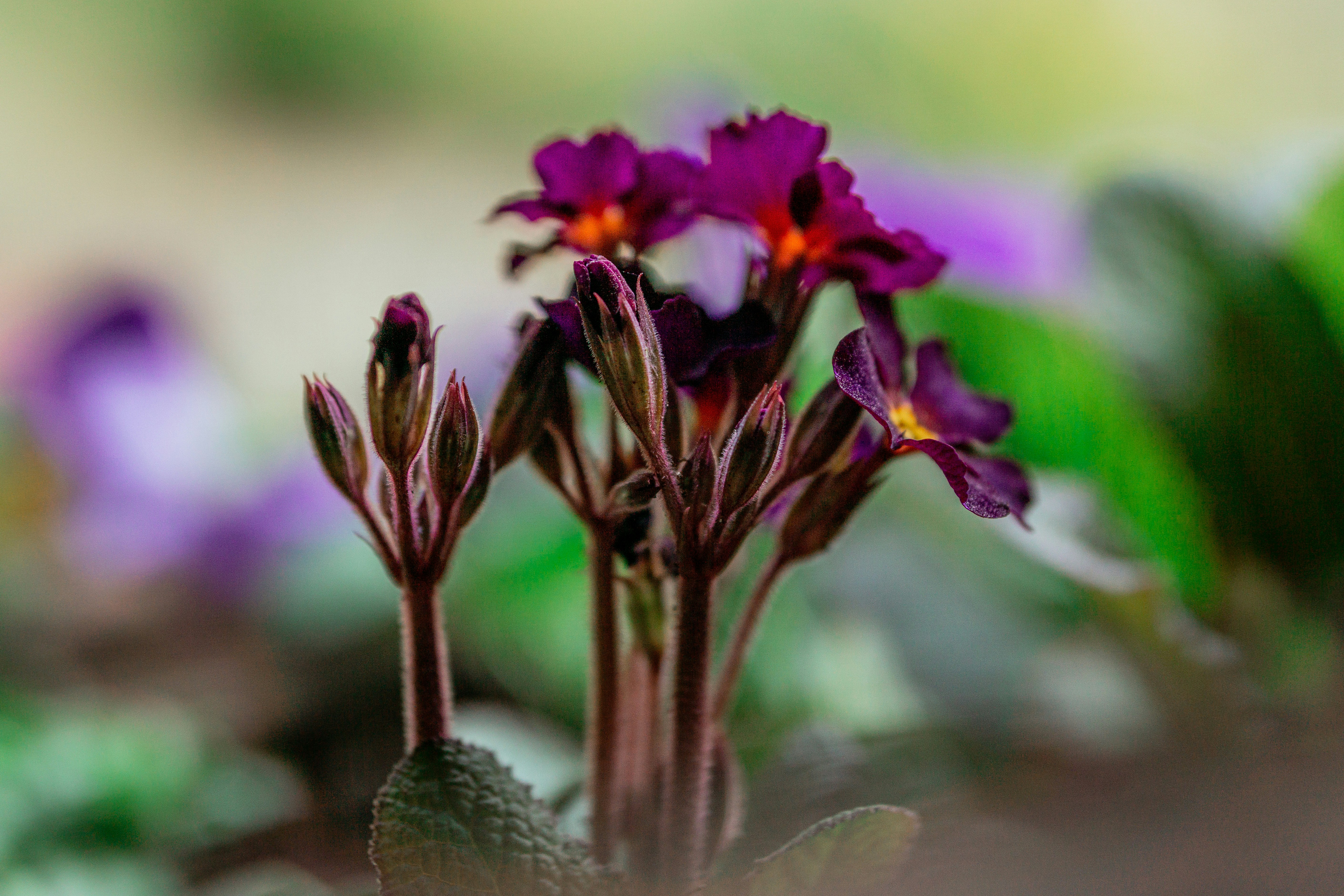 Photo by Anthony Mensah with Sony Alpha 6000