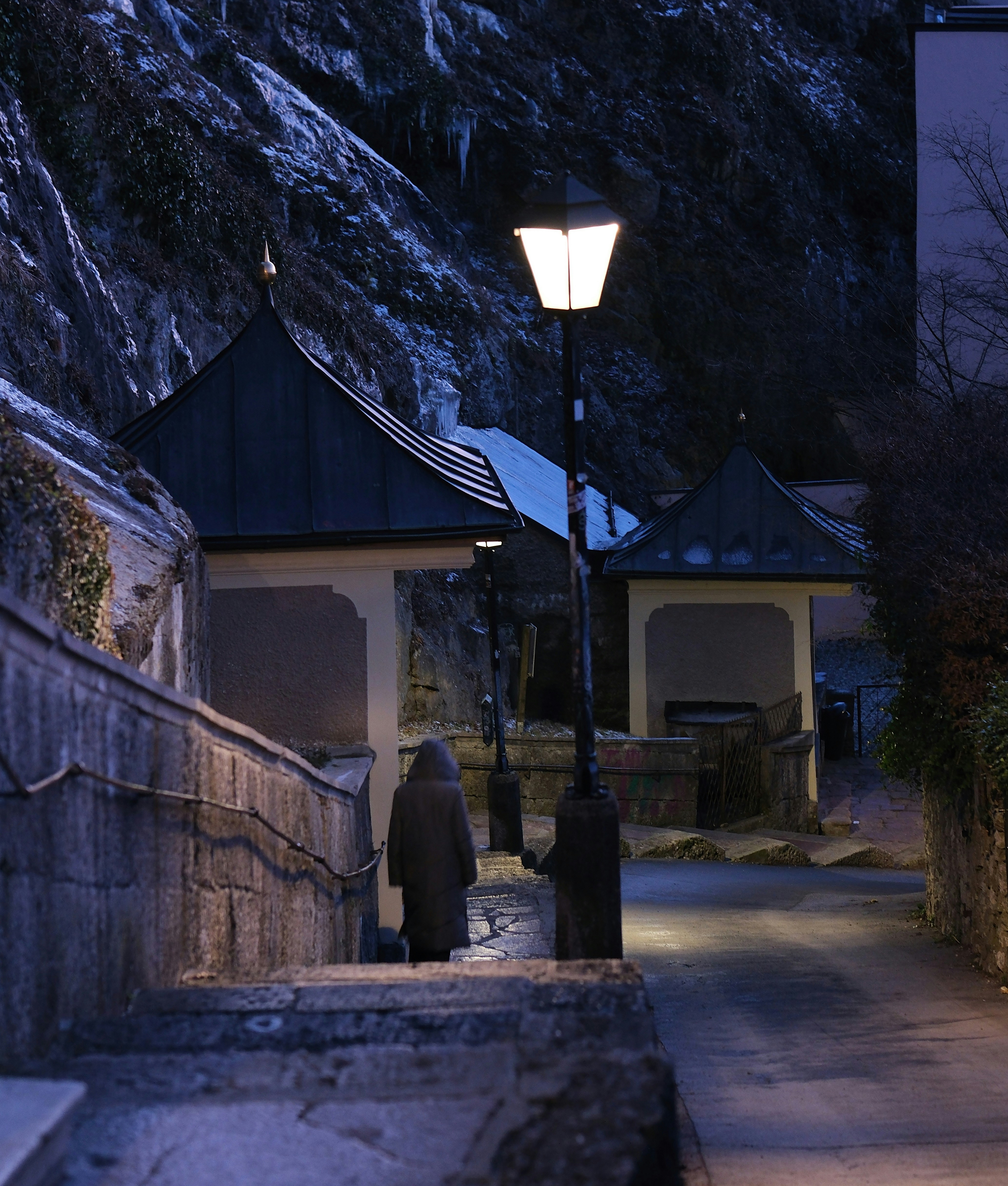 The Mountain Lane's Solitary Lantern