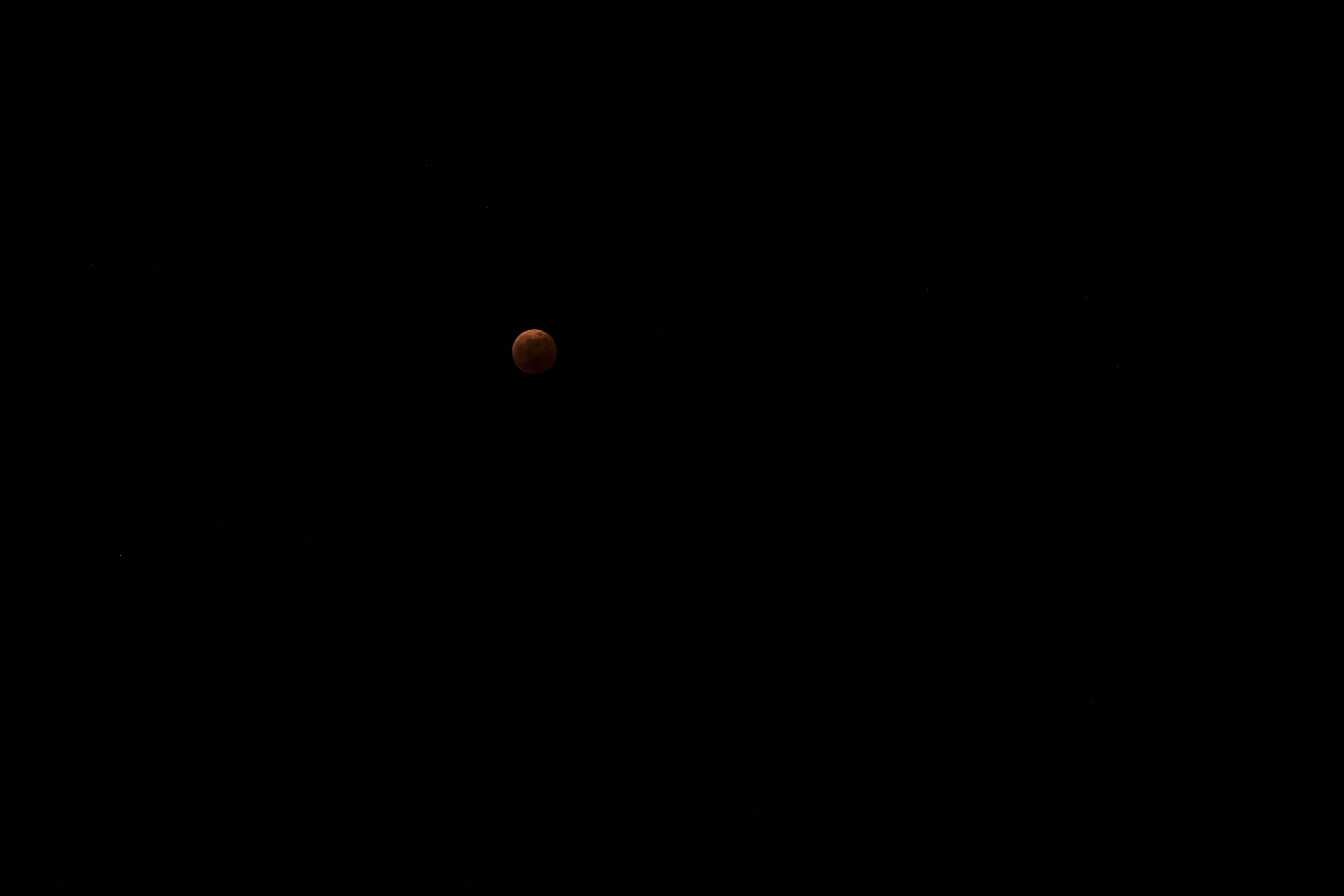Lunar Veil: Eclipse in the Night Sky