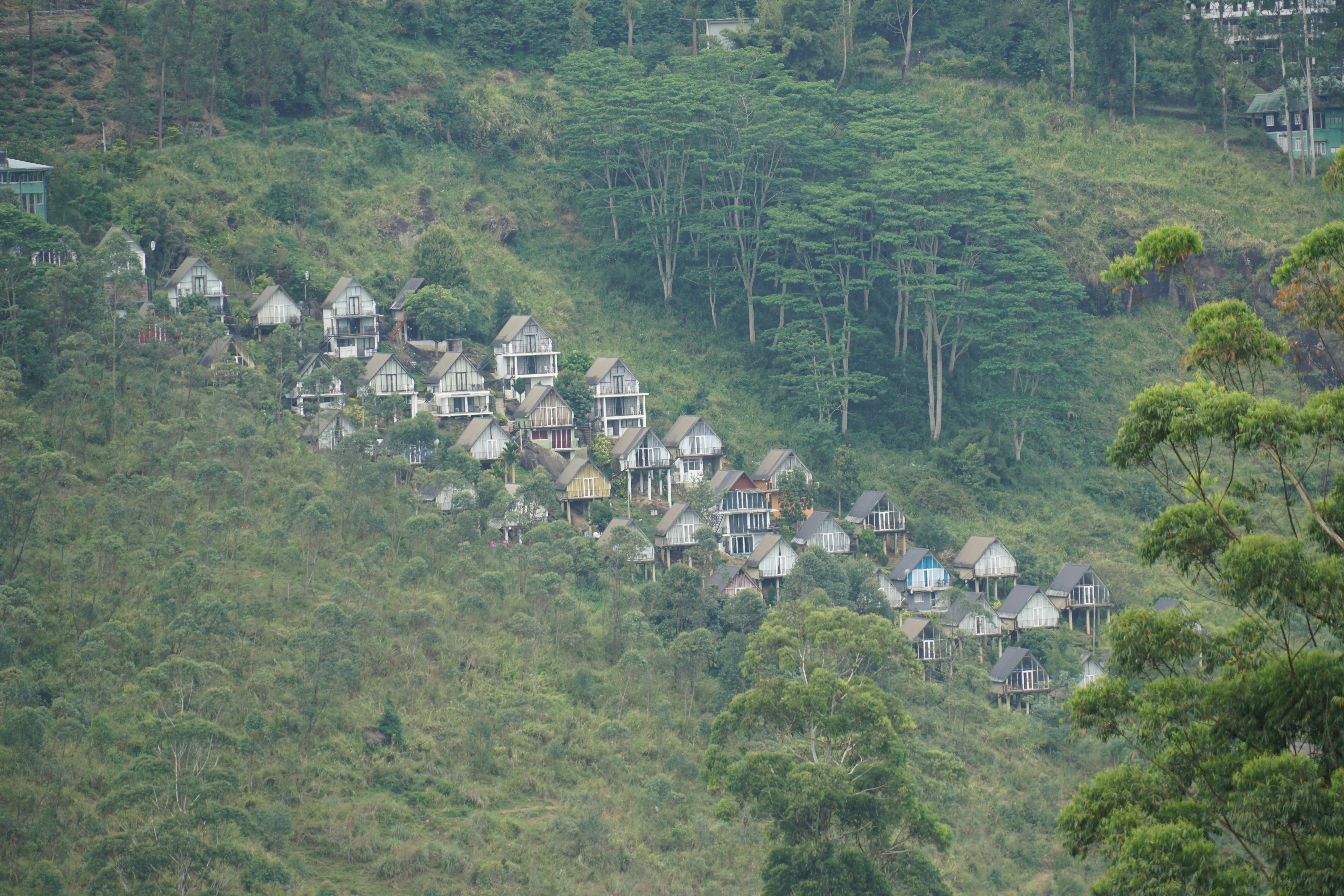 Many small houses are built on a hillside.