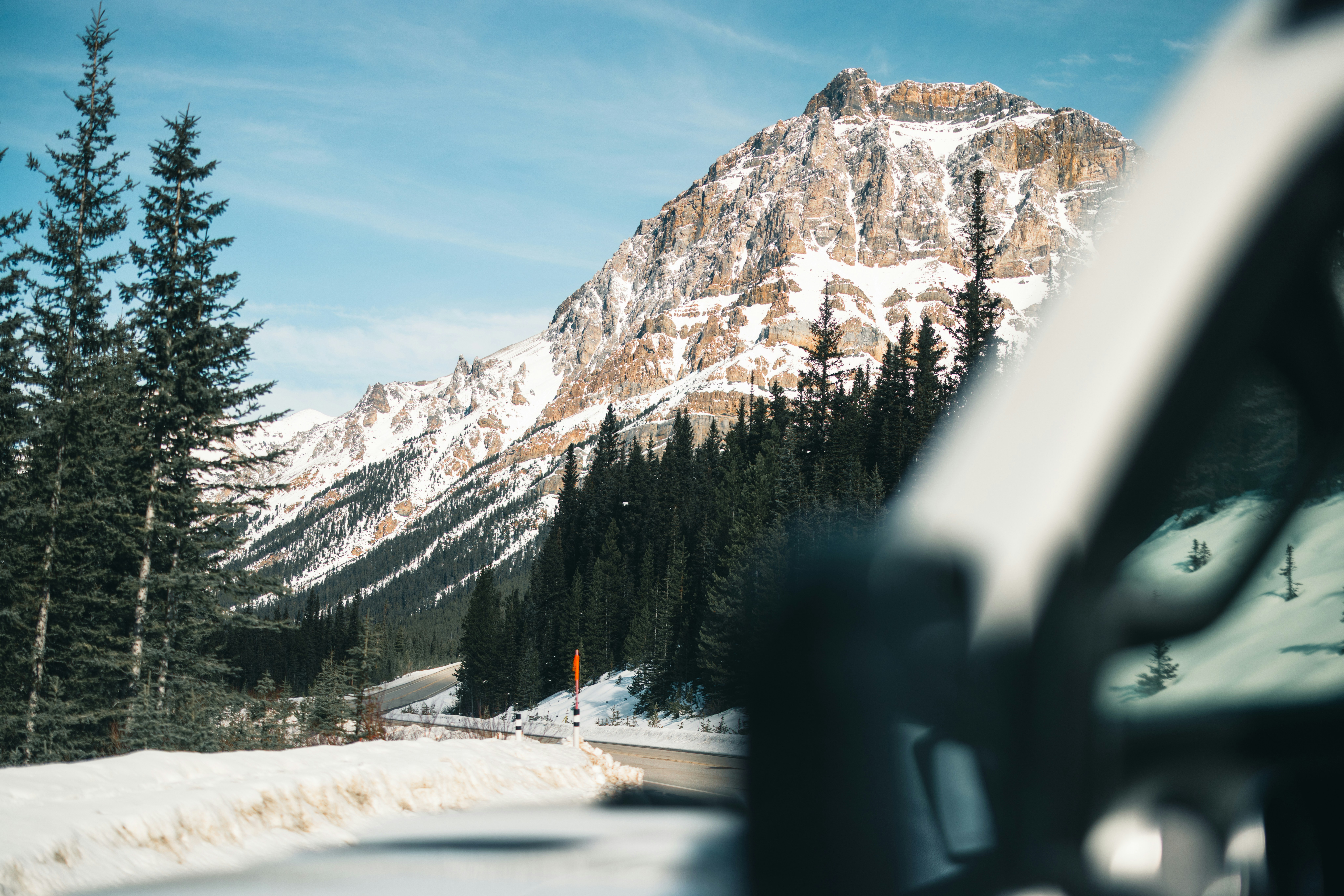 Snow-covered mountains rise behind evergreen forests under a clear blue sky.