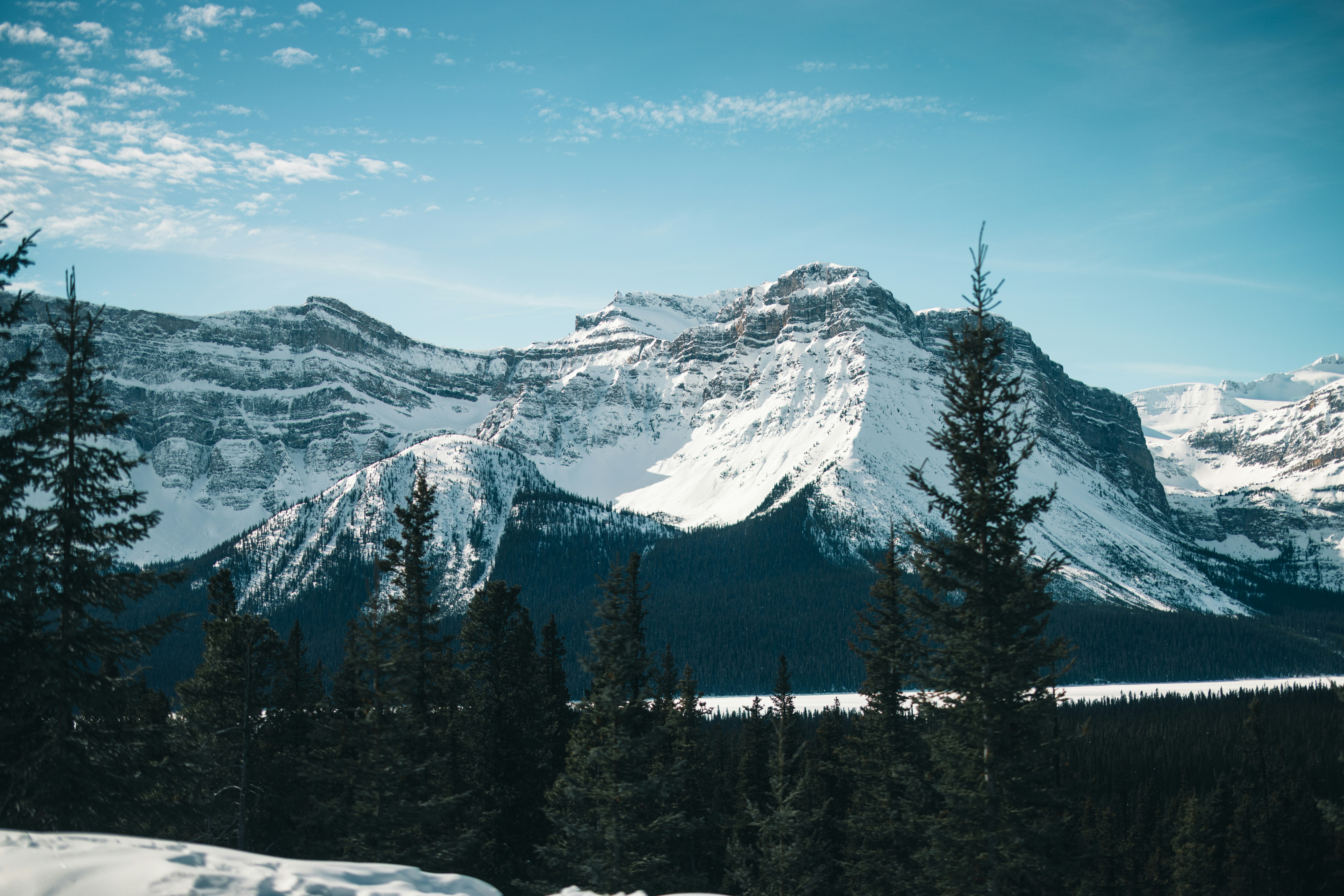 Snow-covered mountains under a clear blue sky with evergreen trees in the foreground.