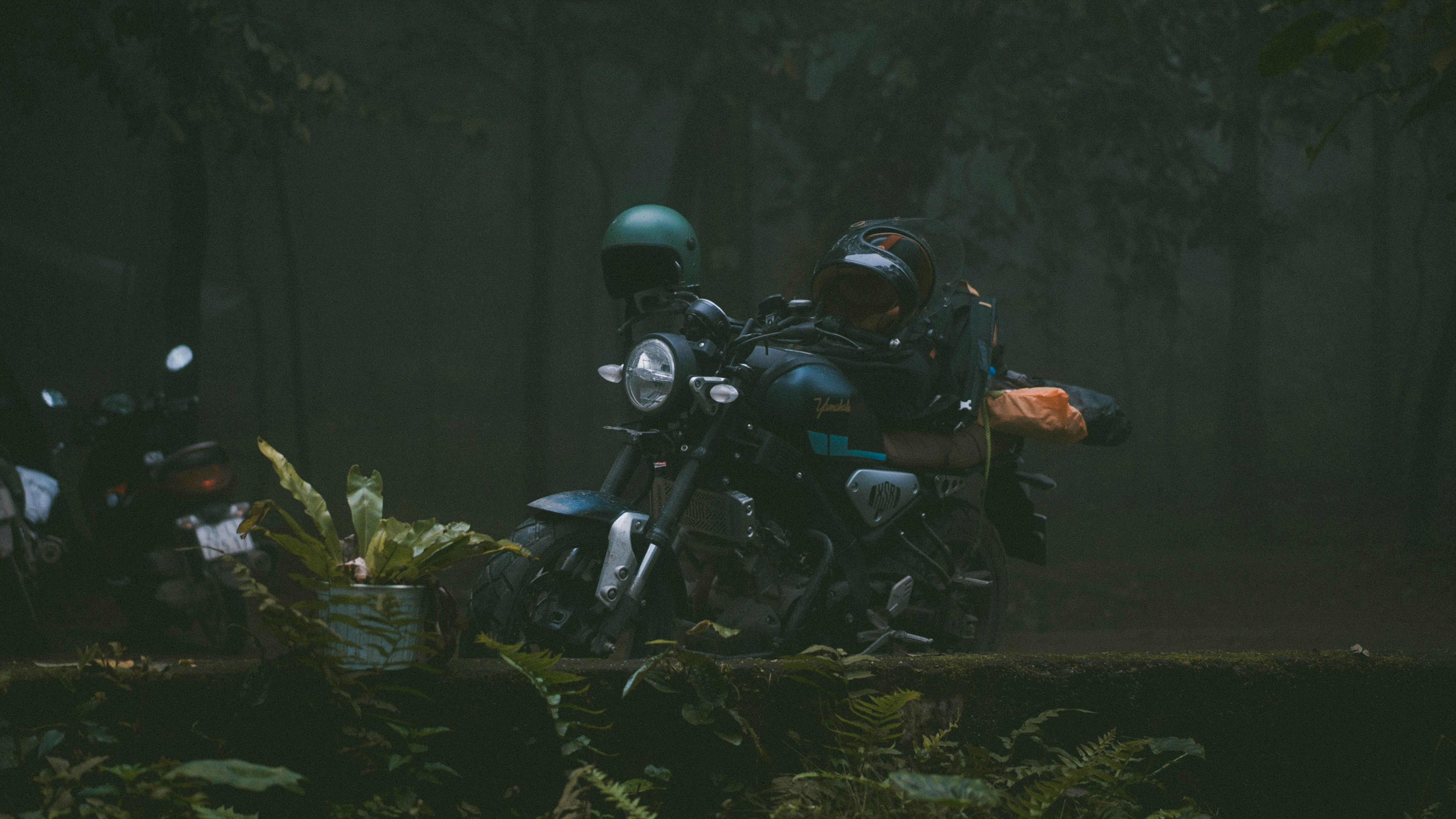 Serenity Amidst the Shadows: A Rider's Respite