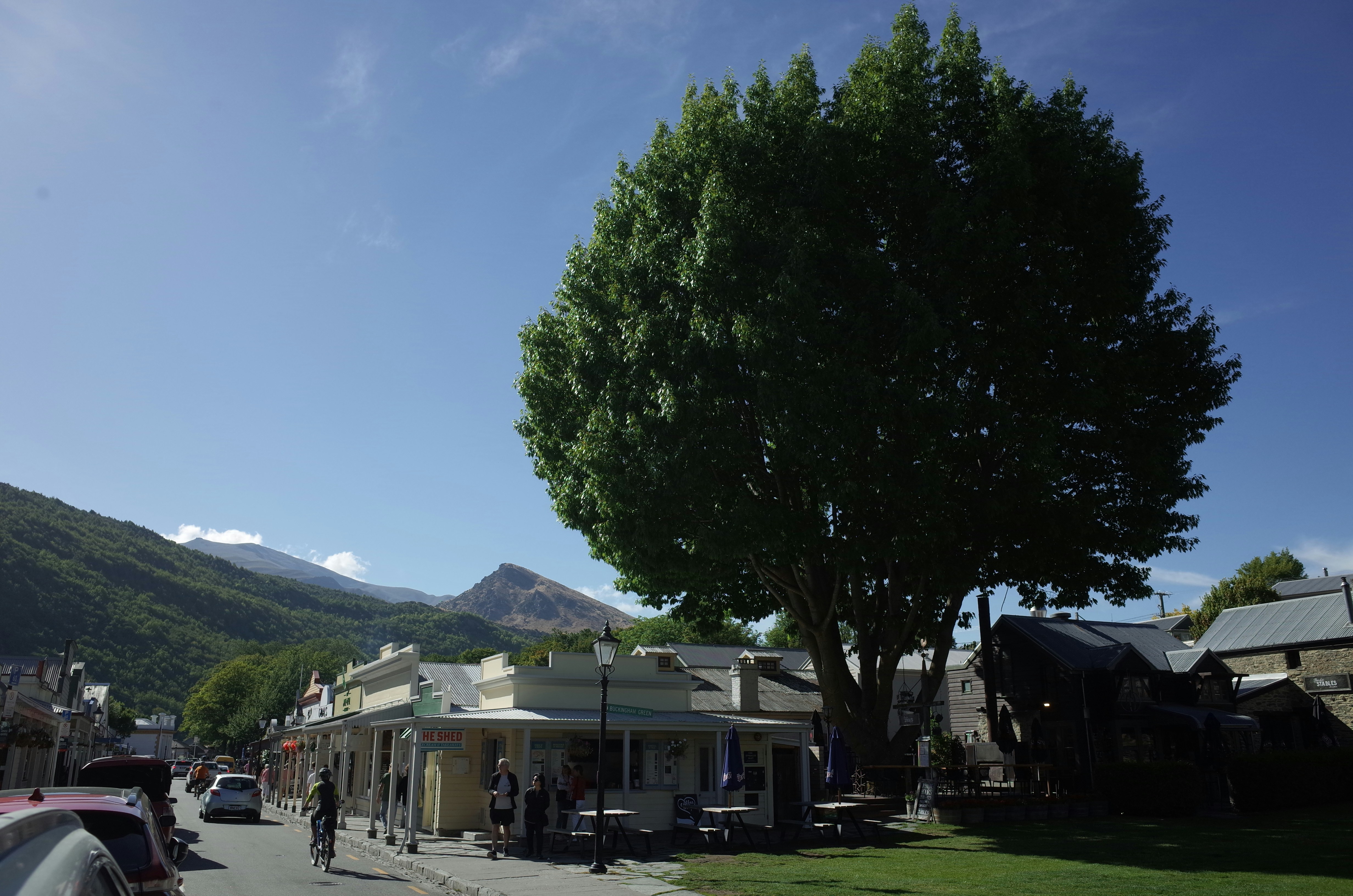 Sunlit Street under a Majestic Canopy