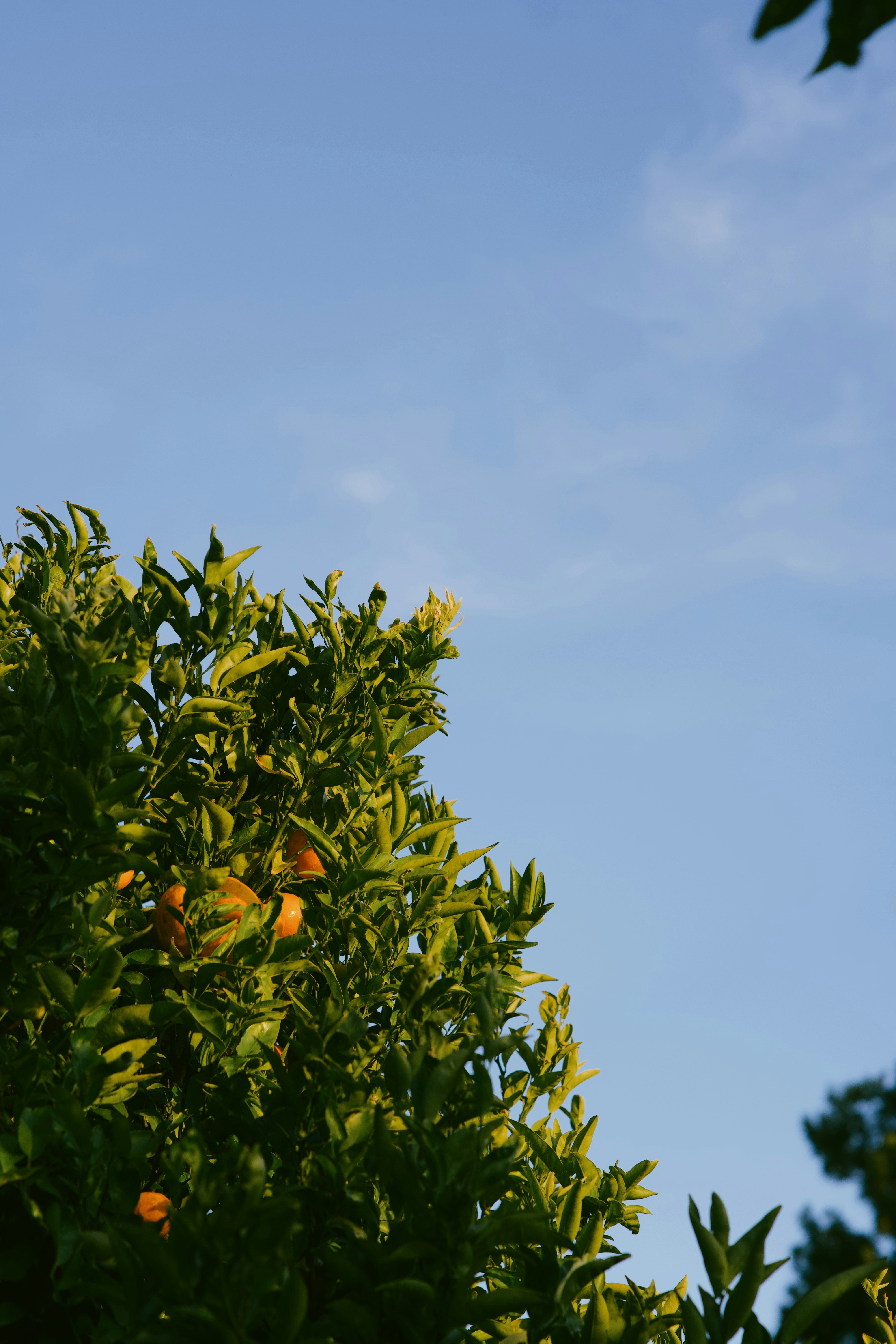 Ian Wakefield (@hedleywakefield) | Unsplashフォトコミュニティ