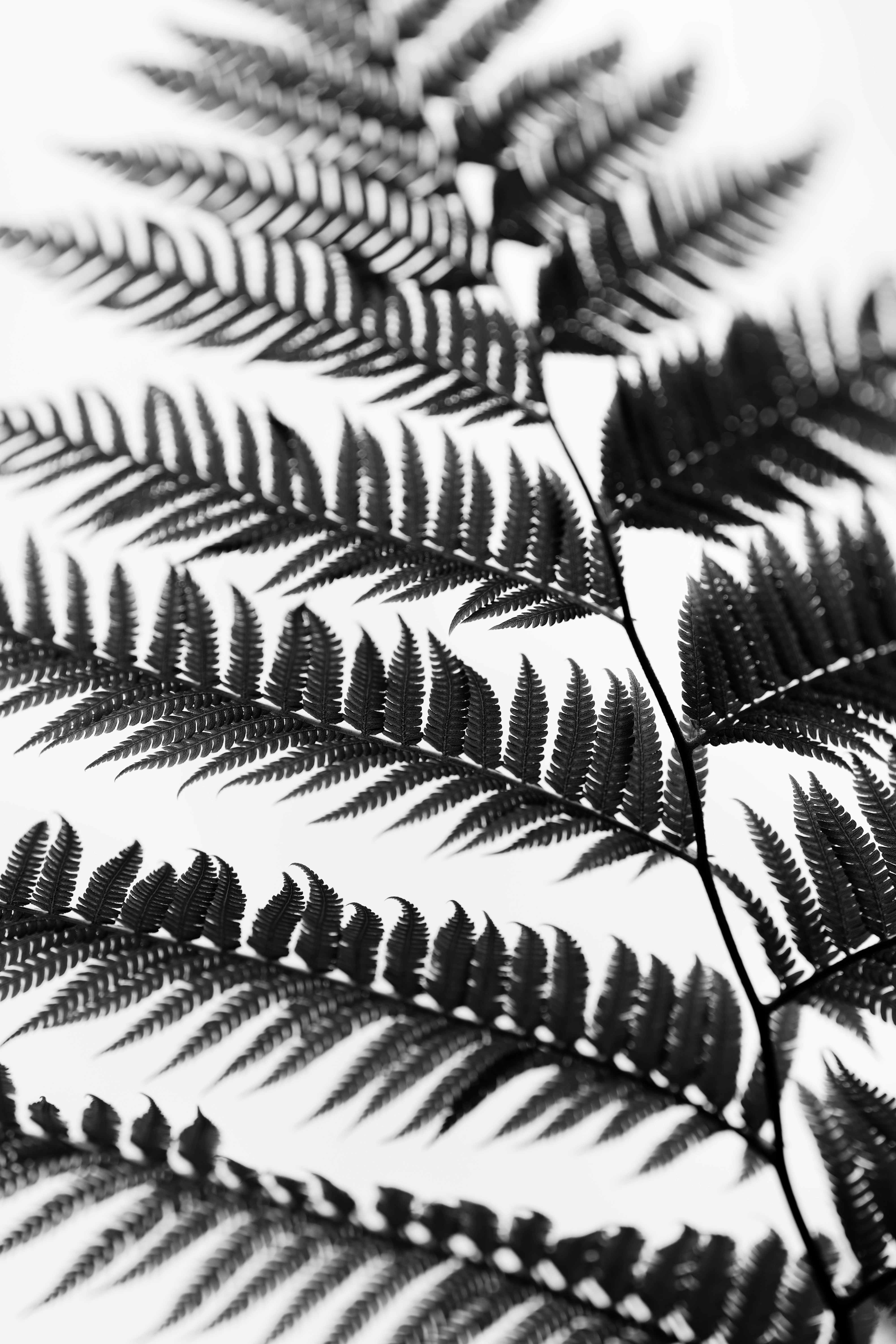 Ian Wakefield (@hedleywakefield) | Komunitas Foto Unsplash