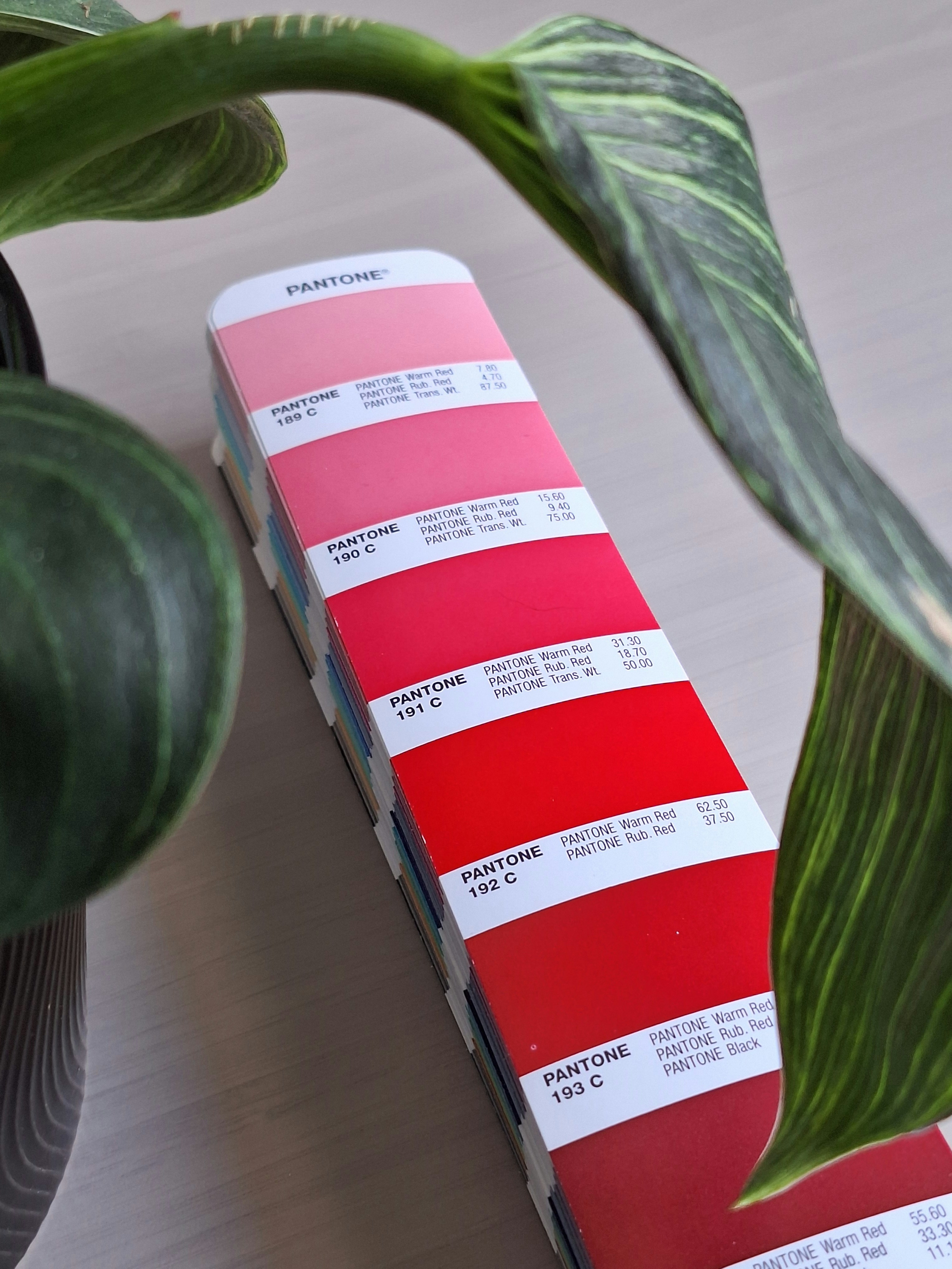 Plant and pantone color chart comparison. photo – Free Color matching ...