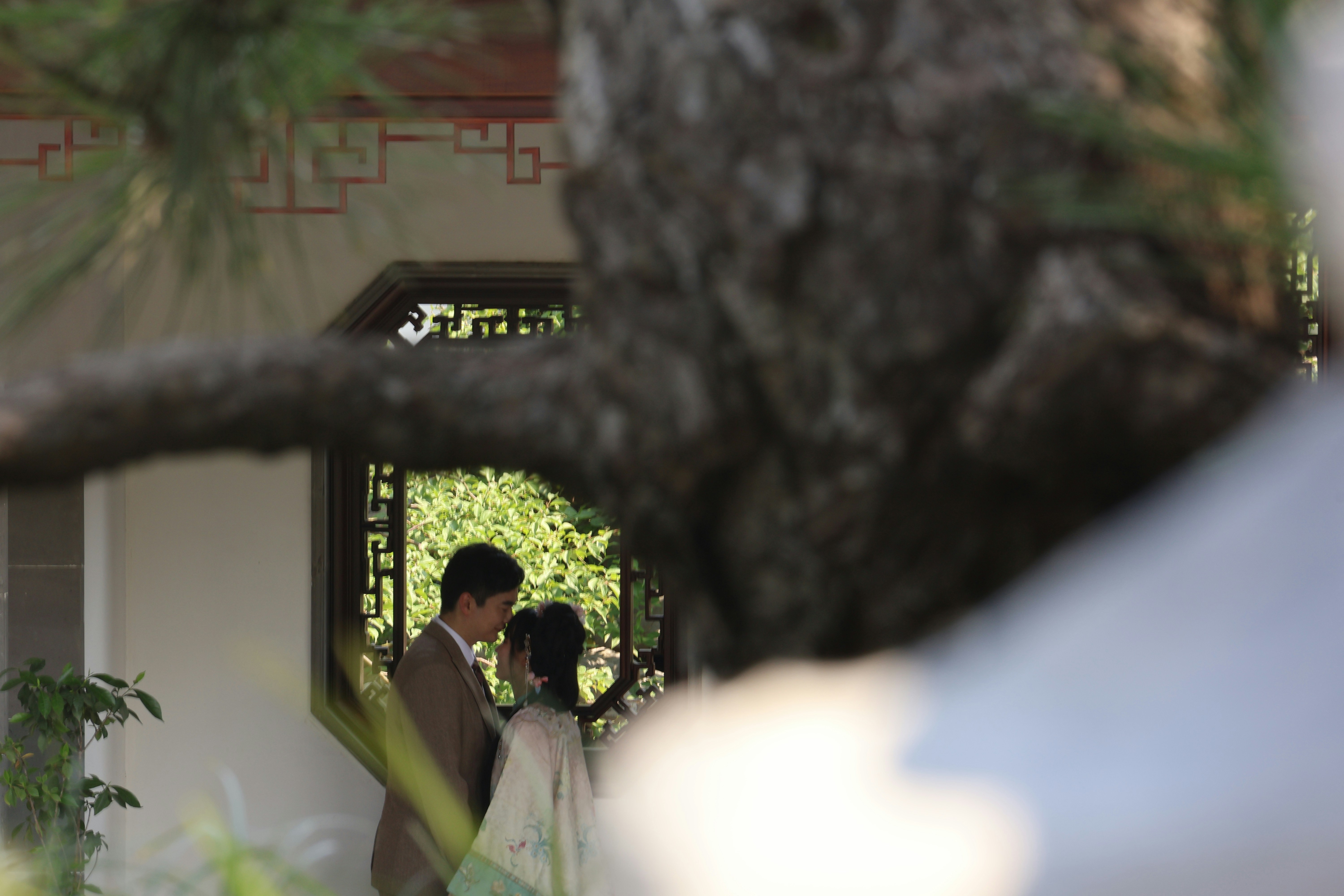 Couple stands closely behind a tree branch, framed by a traditional window with lush greenery in the background.