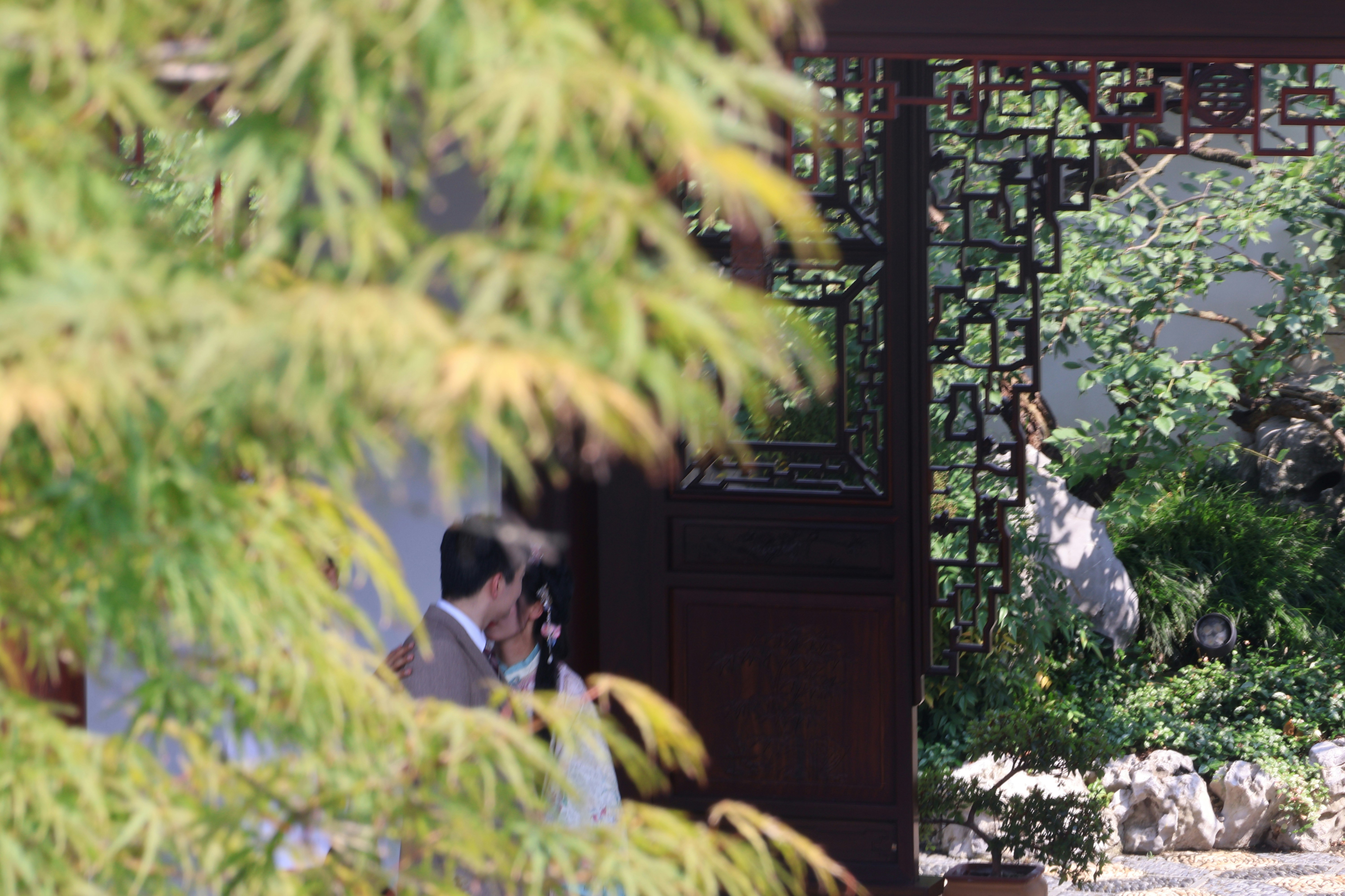 Couple embraces behind delicate green foliage, framed by intricate wooden latticework and lush garden.