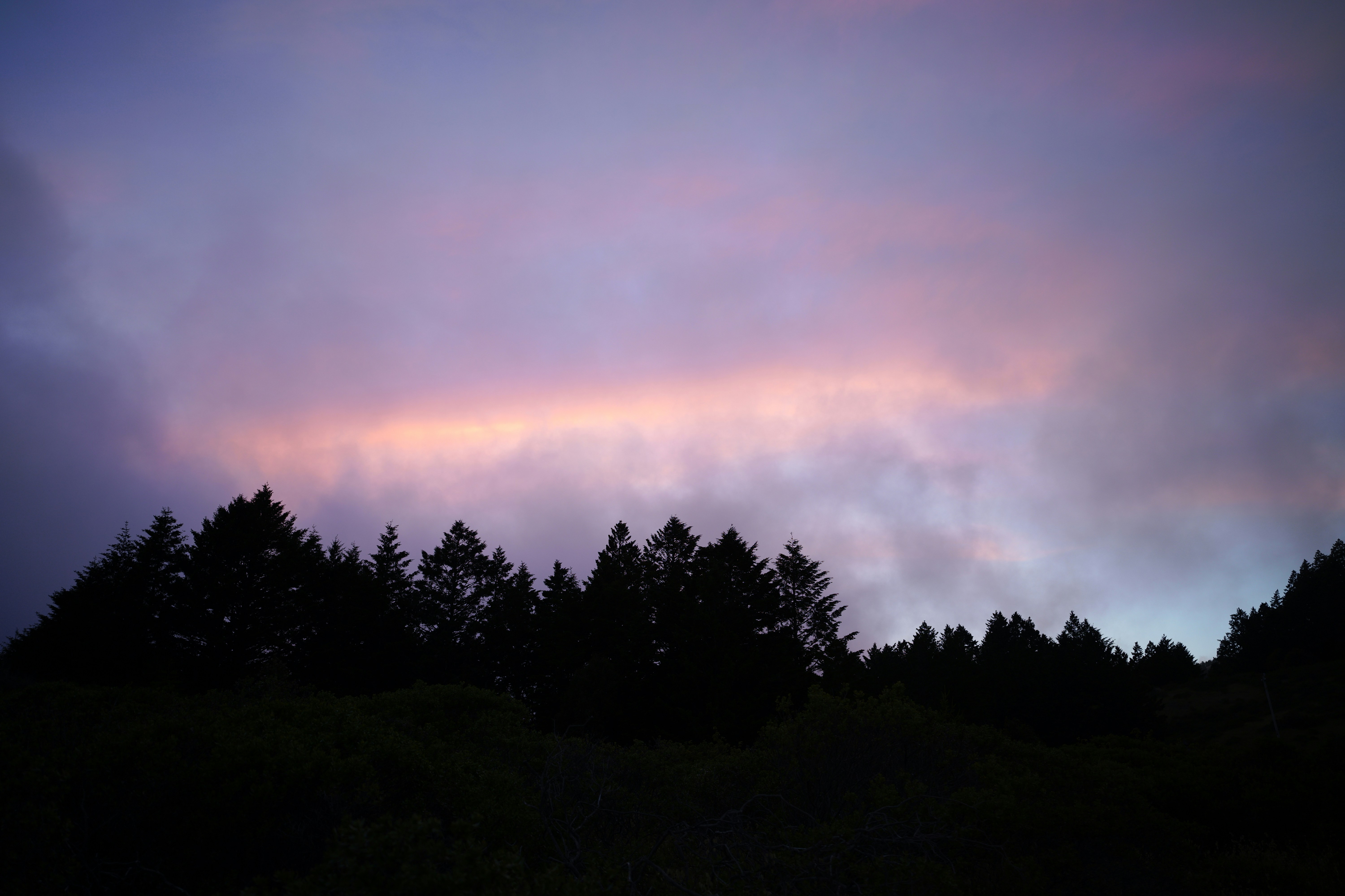 Twilight Silhouette Symphony