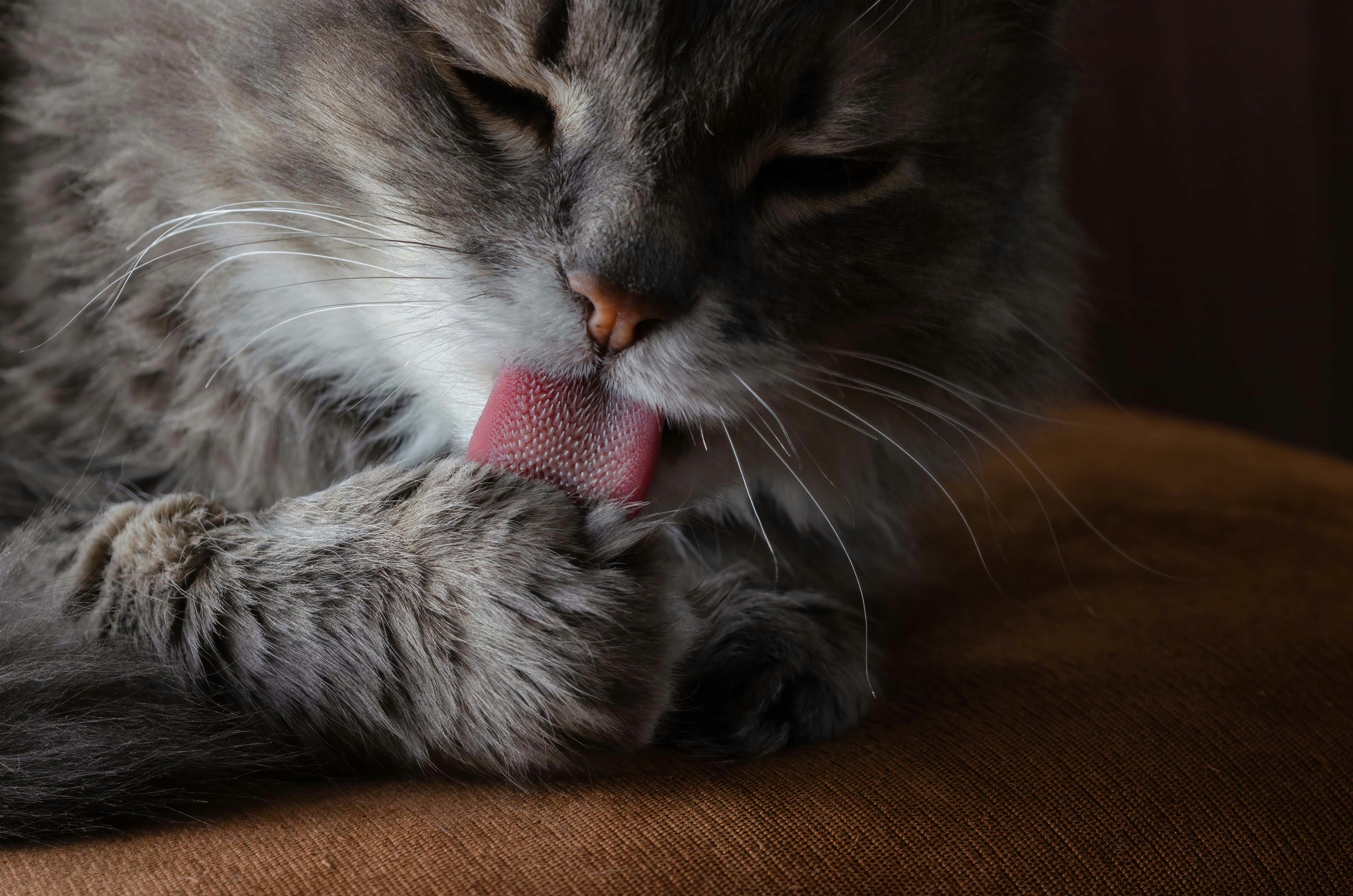 Photo by Andrey Soldatov with Nikon D5100