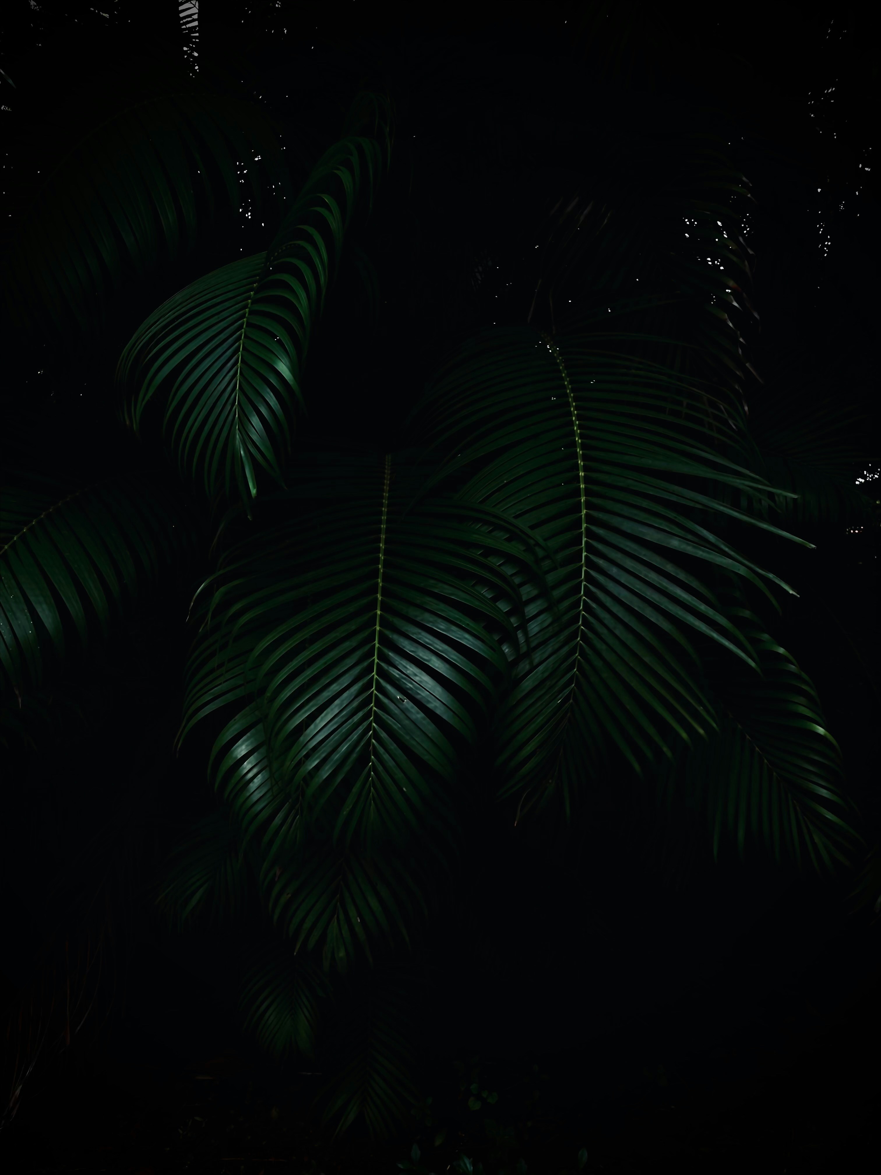 Photo by Renae Reji with Apple iPhone 12