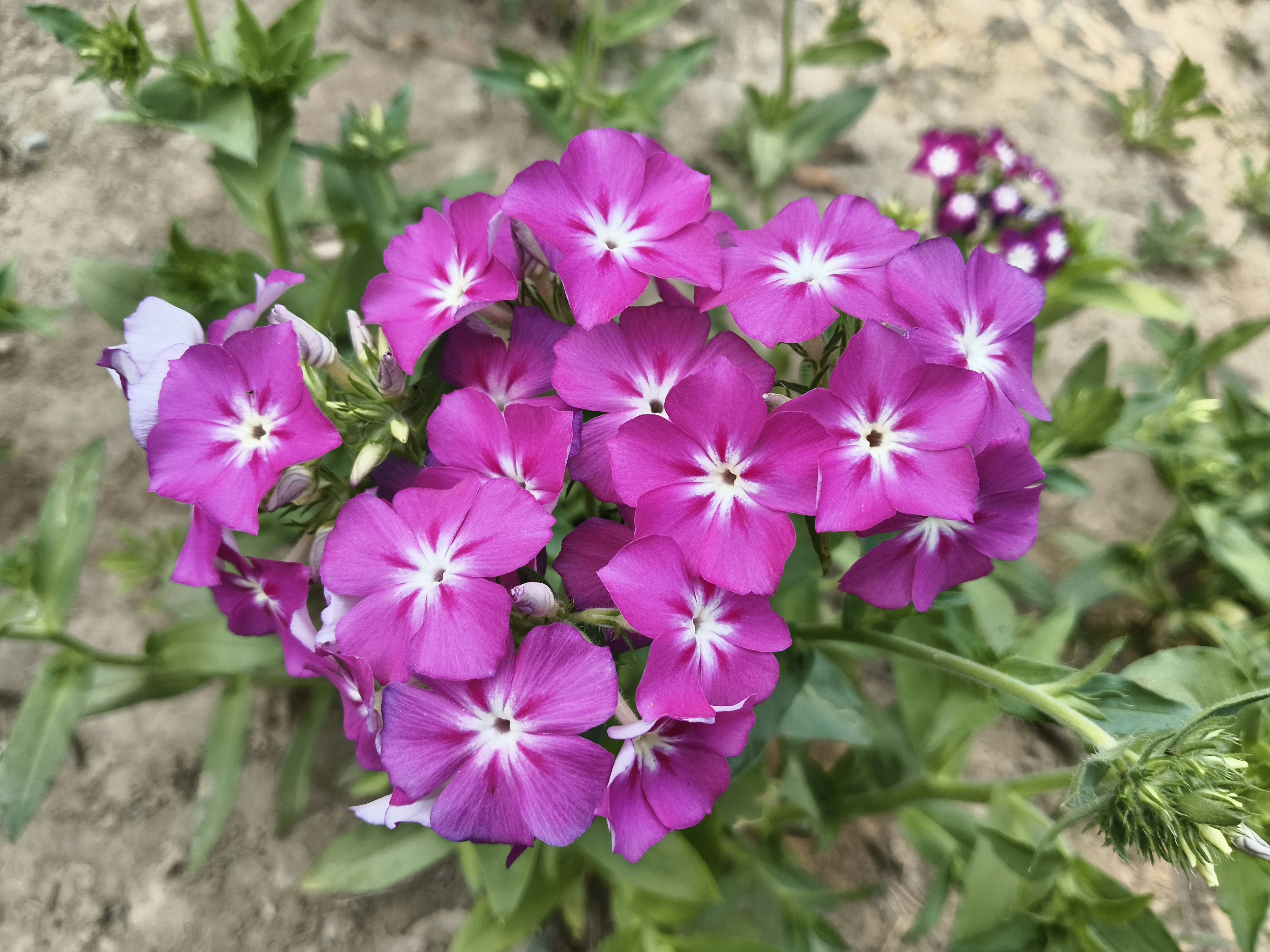 Rupan kurmi (@rupan_kurmi) | Comunidade de fotos da Unsplash