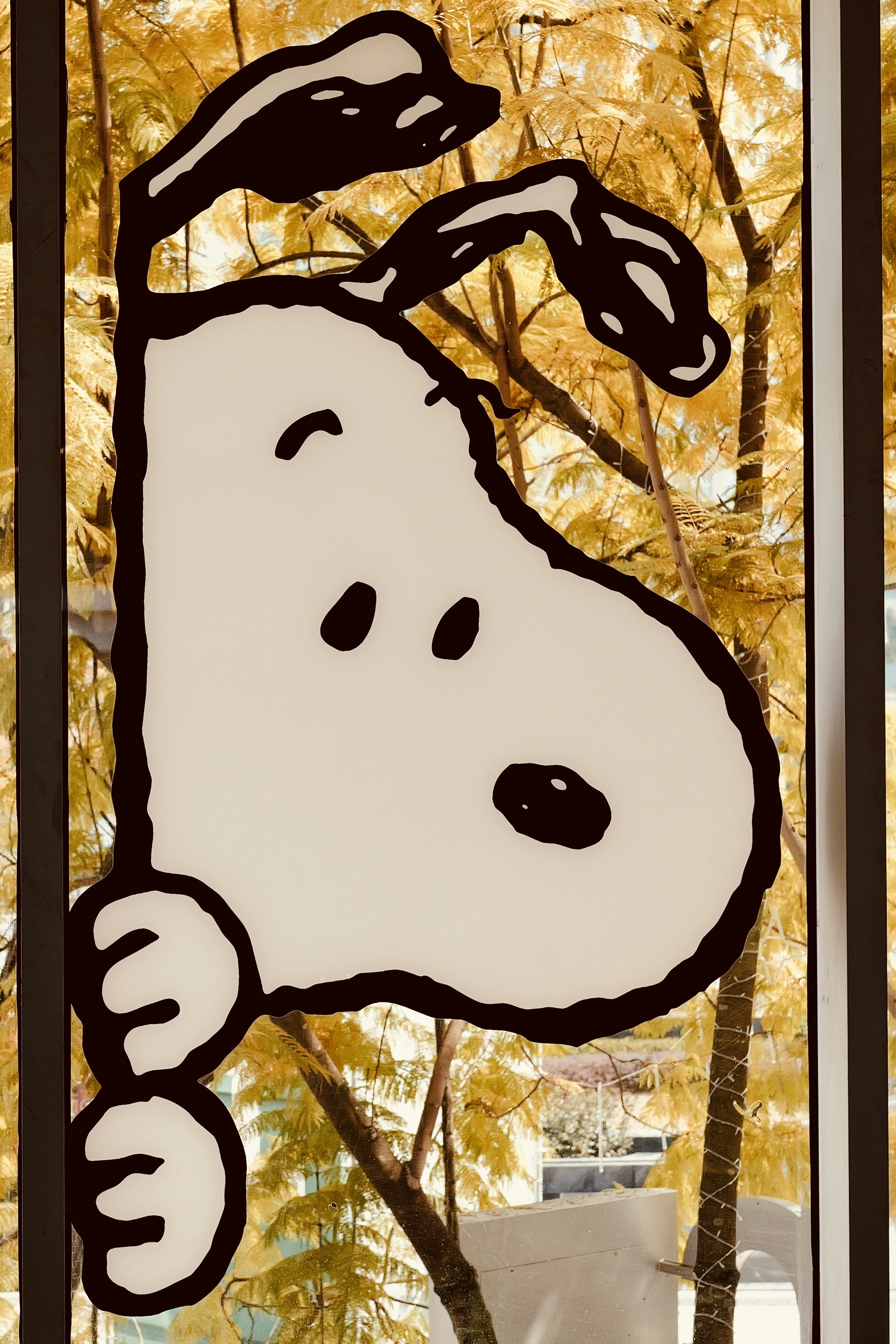 Snoopy peeks from behind a window. photo – Free Art Image on Unsplash