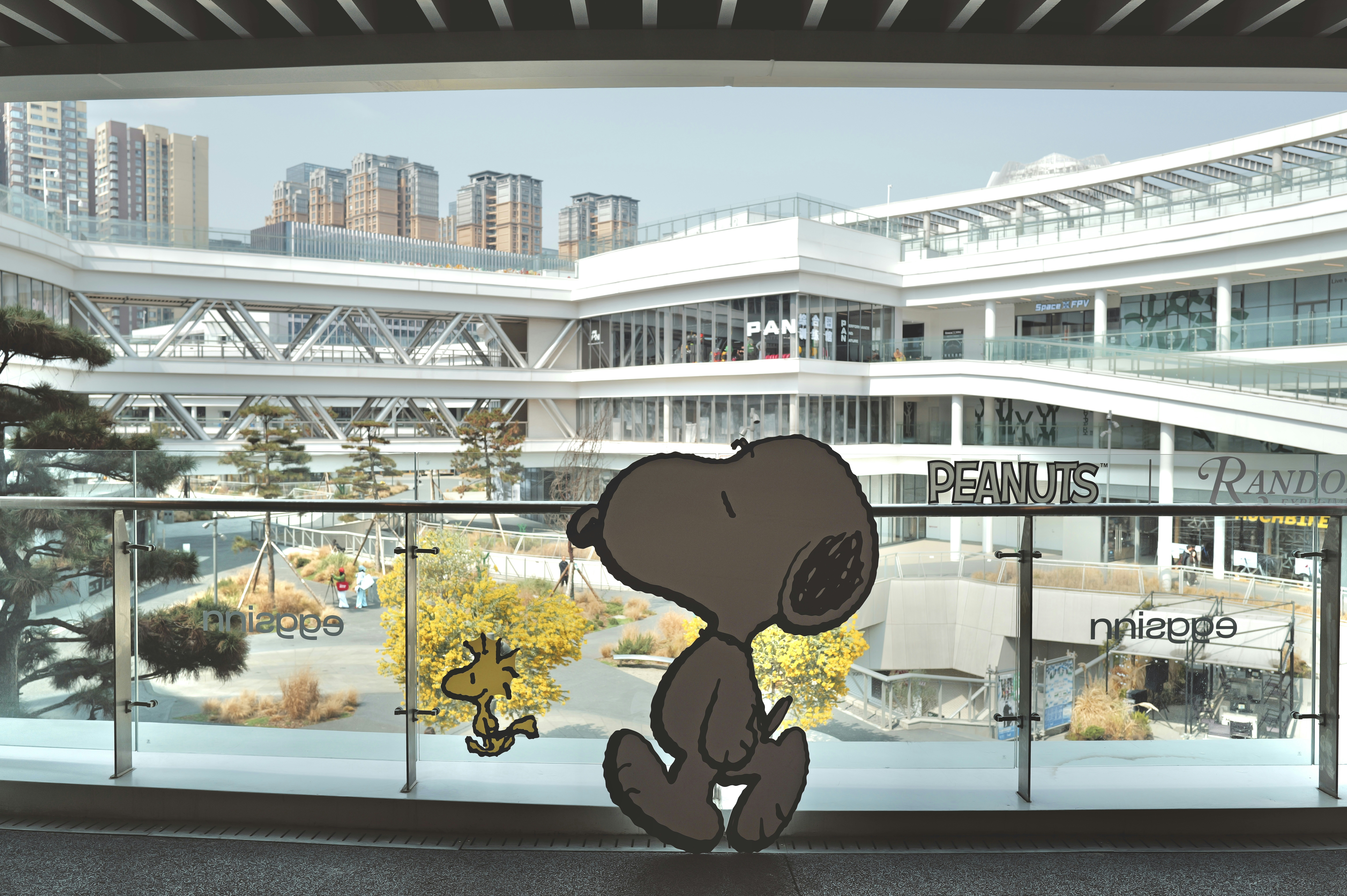 Snoopy looks out at a modern city. photo – Free Building Image on Unsplash